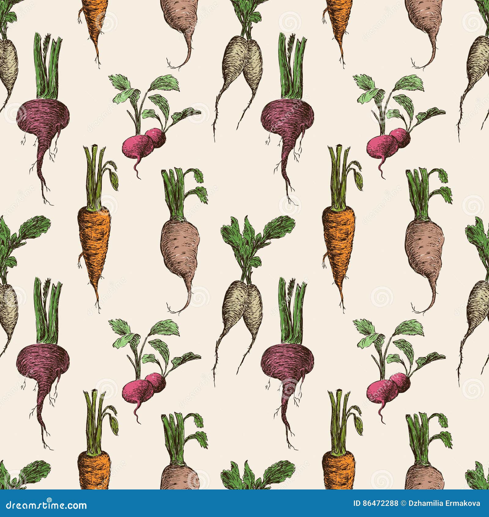 Pattern of the ripe roots stock vector. Illustration of drawn - 86472288