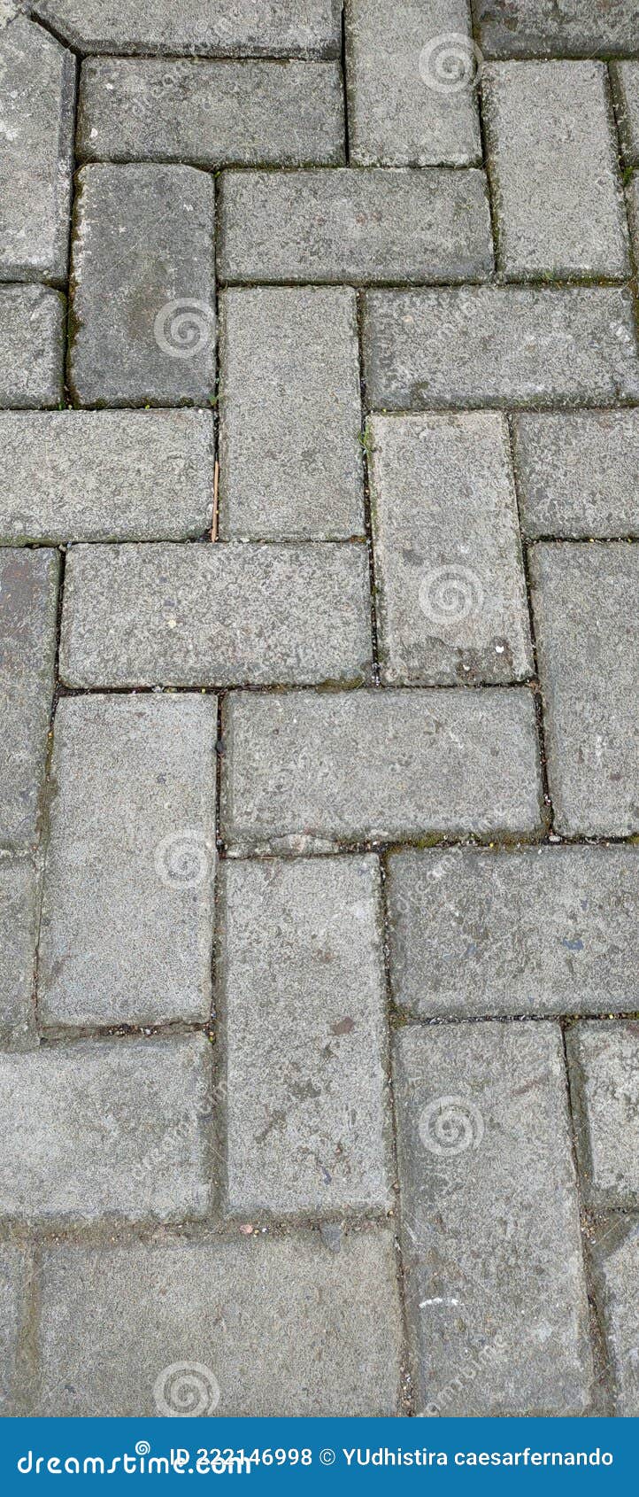 Pattern Rock Walkway Gravel Lane Stock Photo - Image of walkway, roof ...