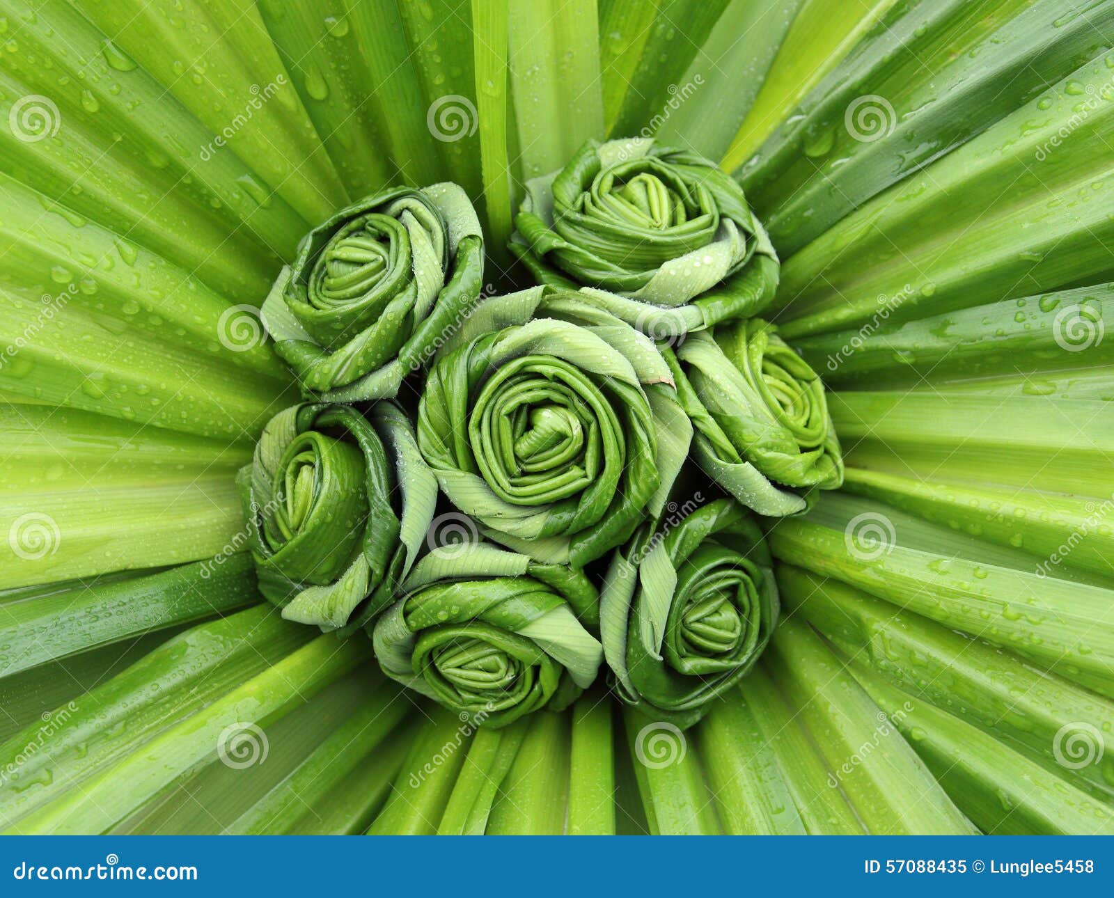 Pattern of Rose from Pandan Leaf Stock Image - Image of fresh, closeup ...