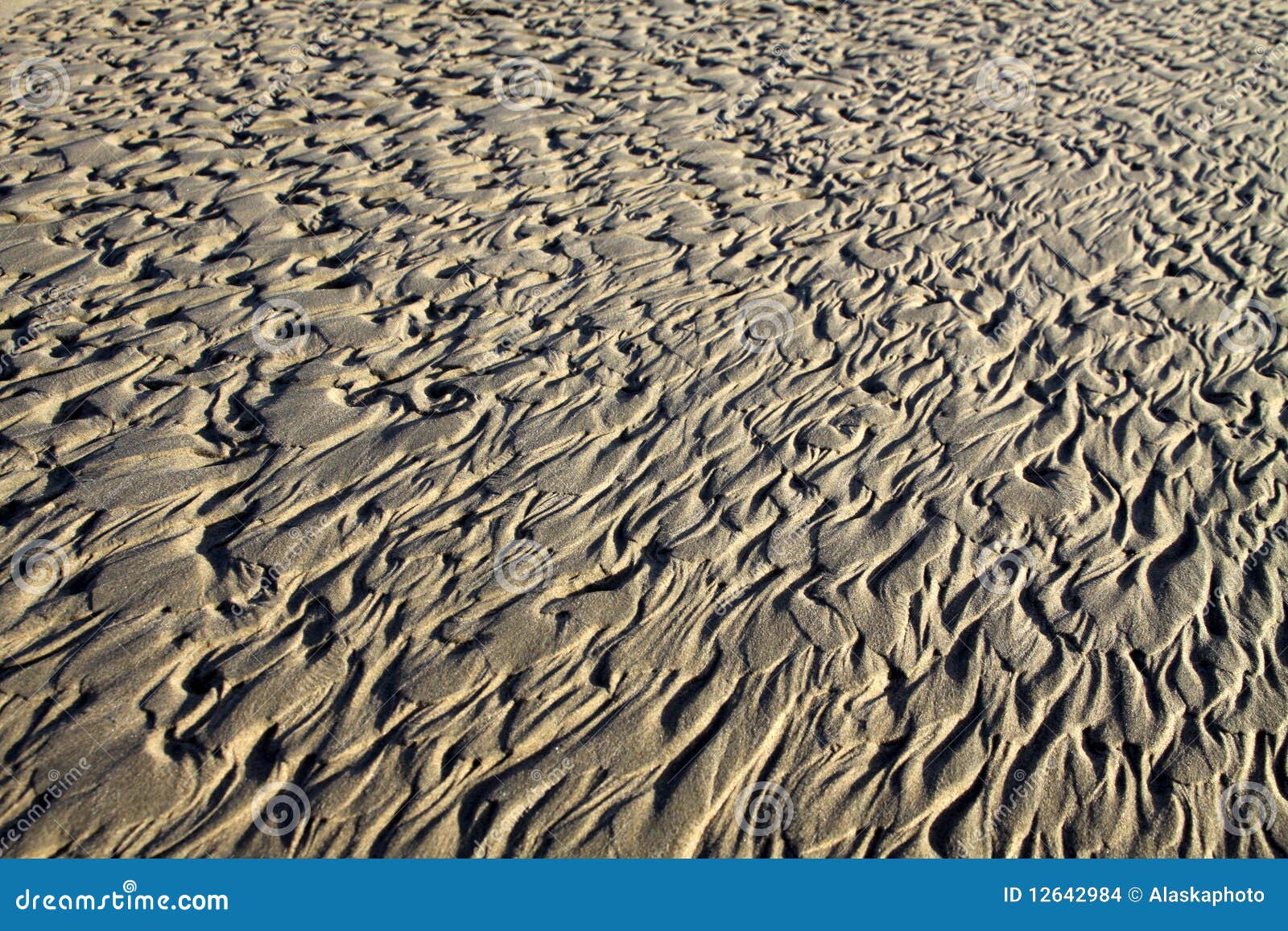 Pattern in the sand stock photo. Image of detail, structure - 12642984