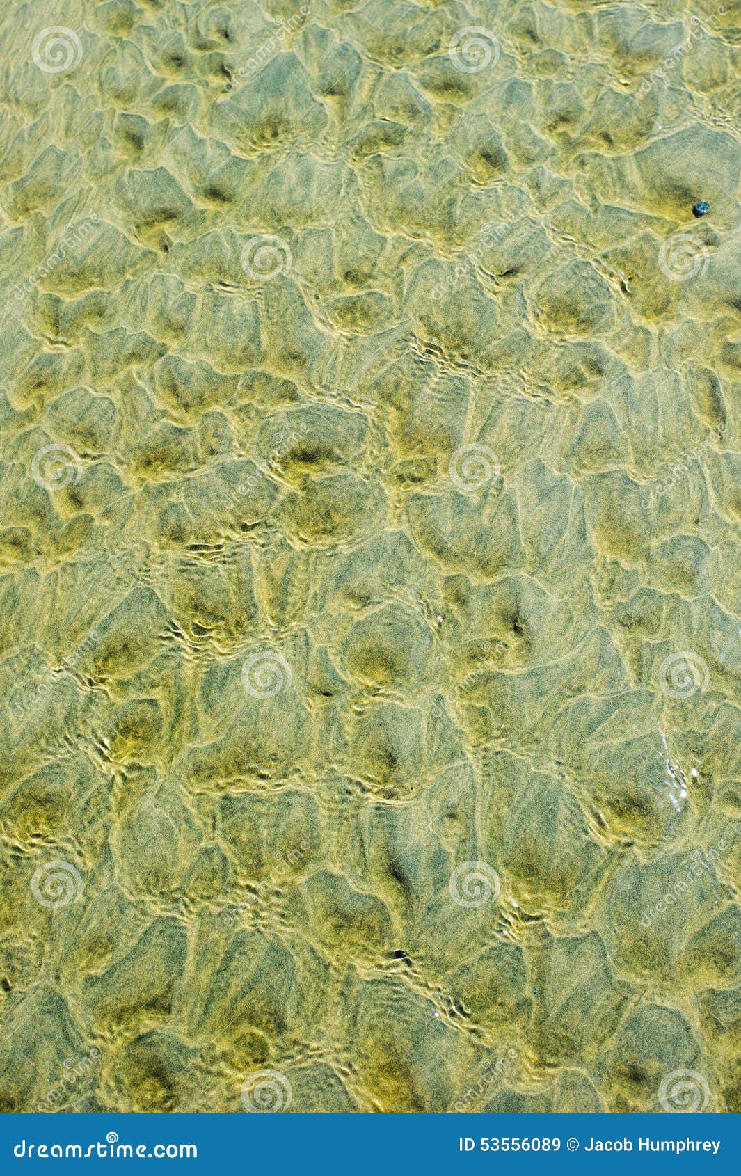 Pattern of Sand in the Tidal Pools Stock Image - Image of water, tofino ...