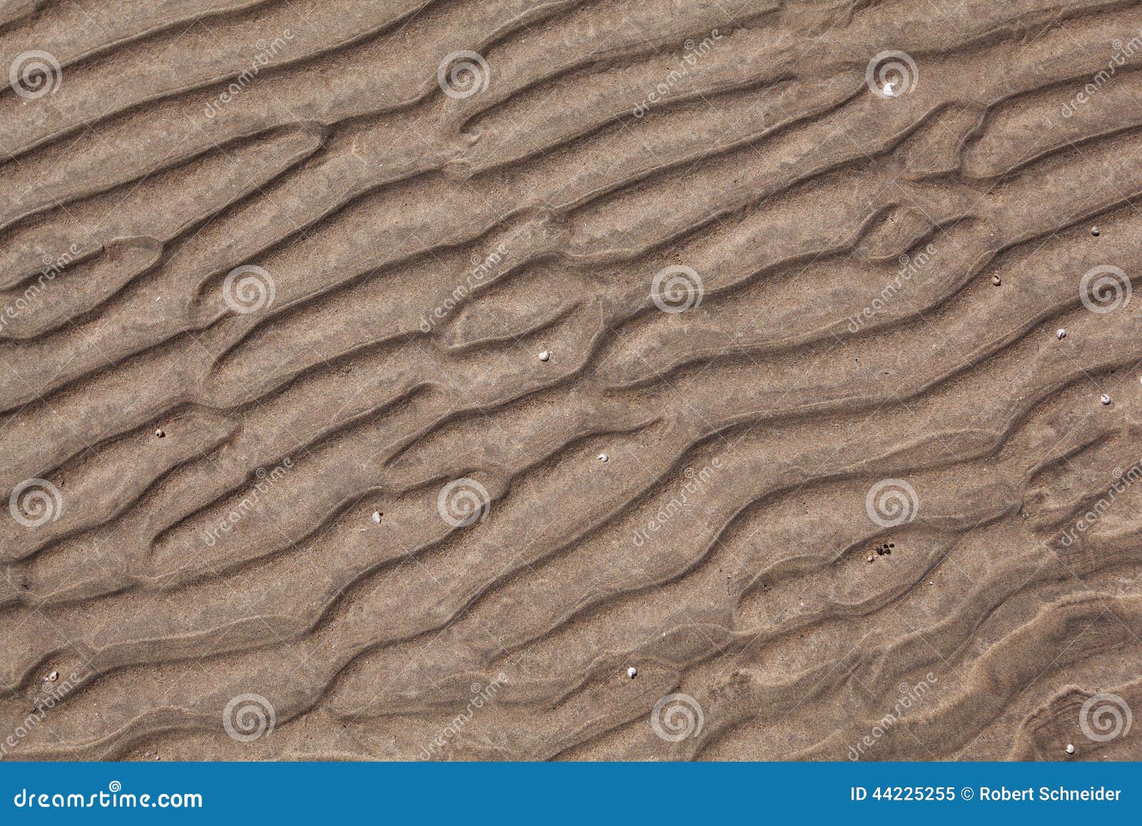 Pattern of the Sandy Ocean Floor at Low Tide Stock Image - Image of ...