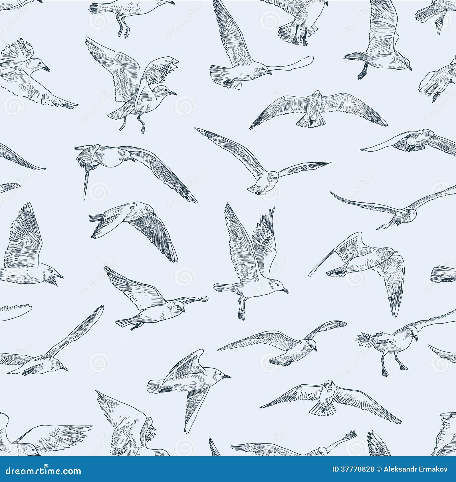 Pattern of seagulls stock vector. Illustration of waterfowl - 37770828