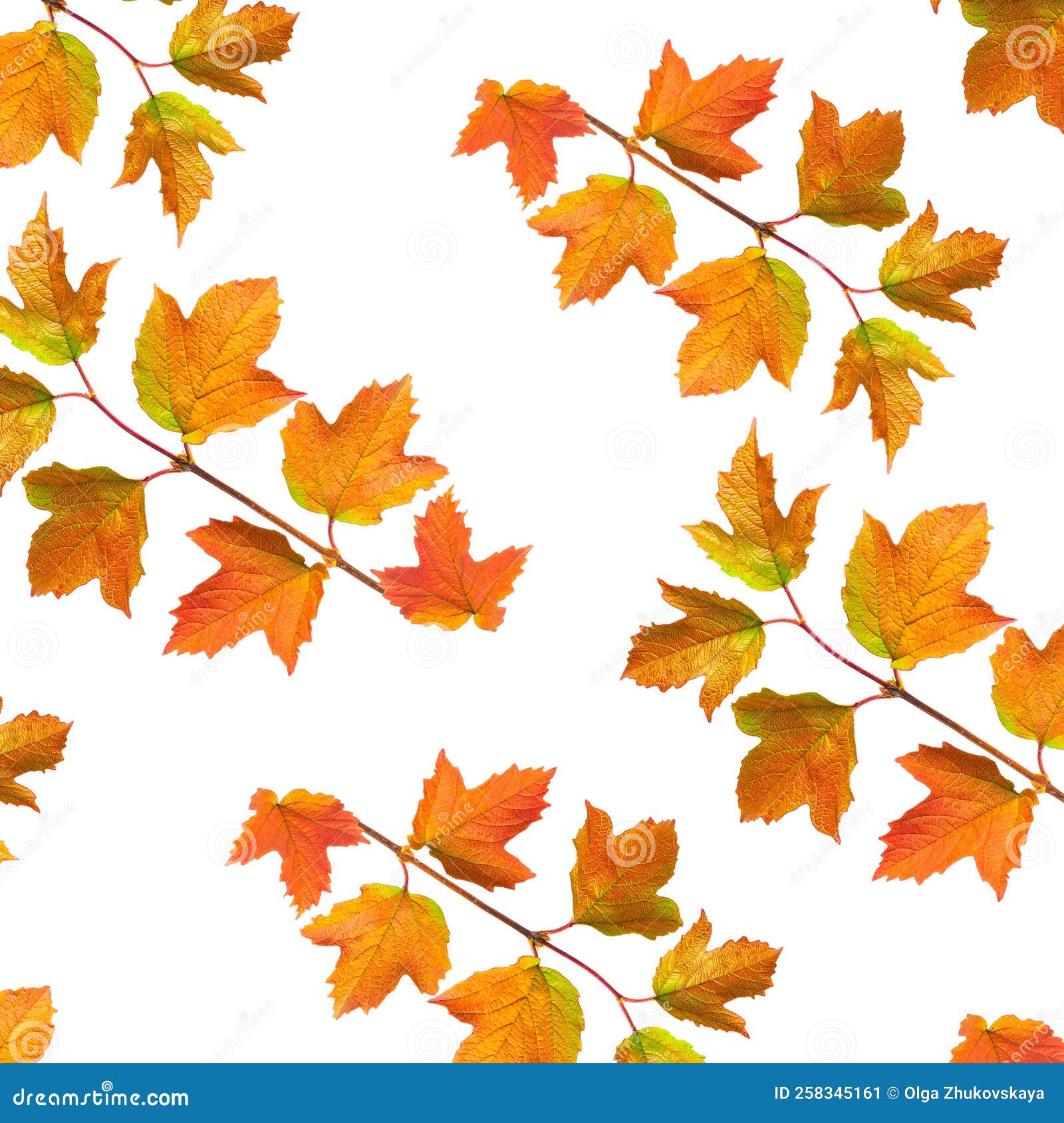 Pattern Seamless Autumn Branch with Colorful Leaflets Stock Image ...