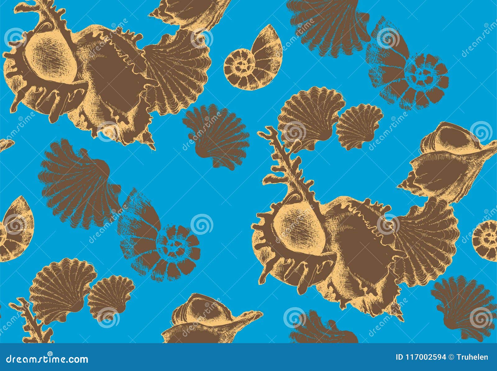 Pattern of Seashells. Engraved Style Stock Vector - Illustration of ...
