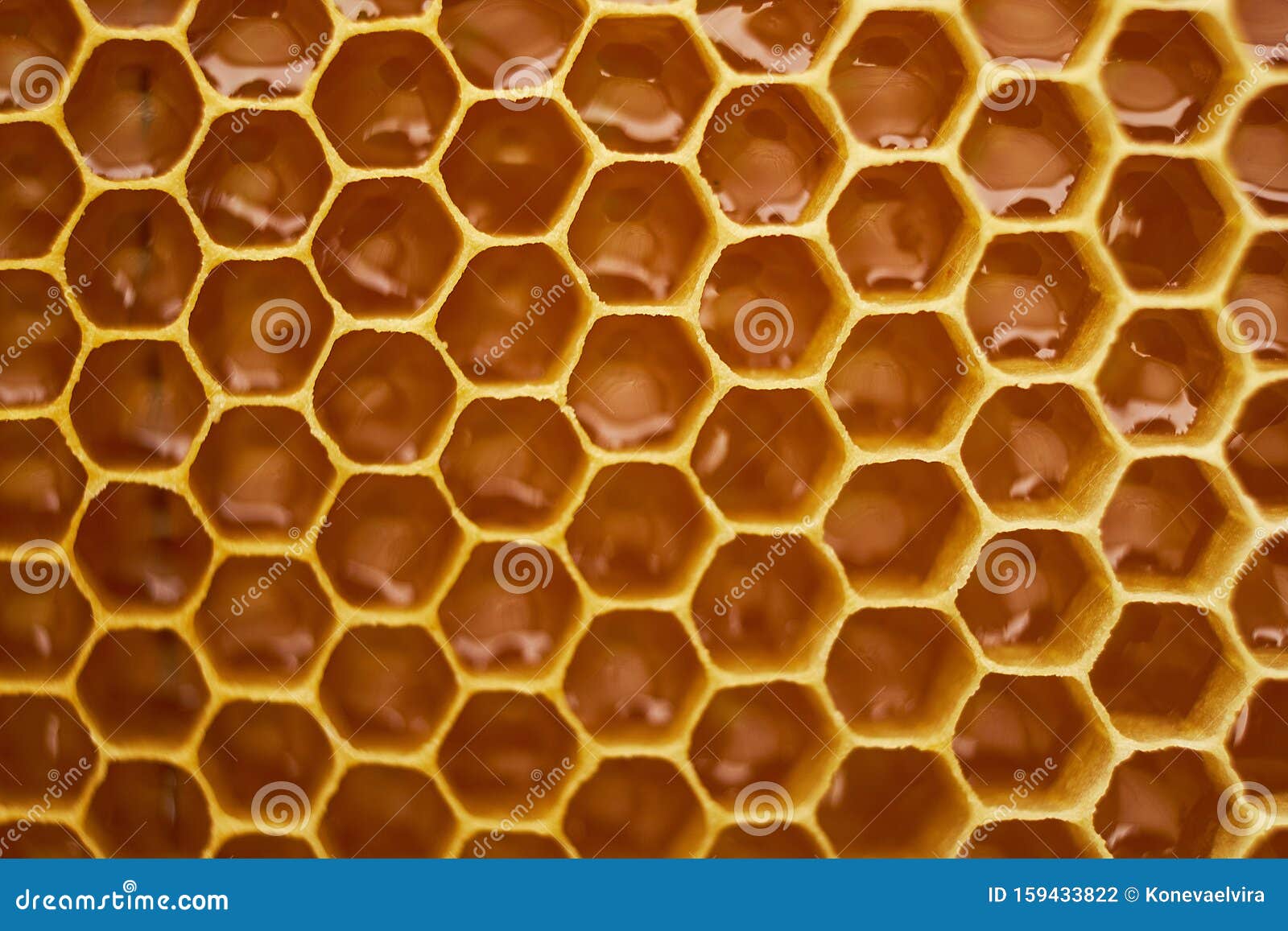Bee Hive Royalty-Free Stock Image | CartoonDealer.com #13399348