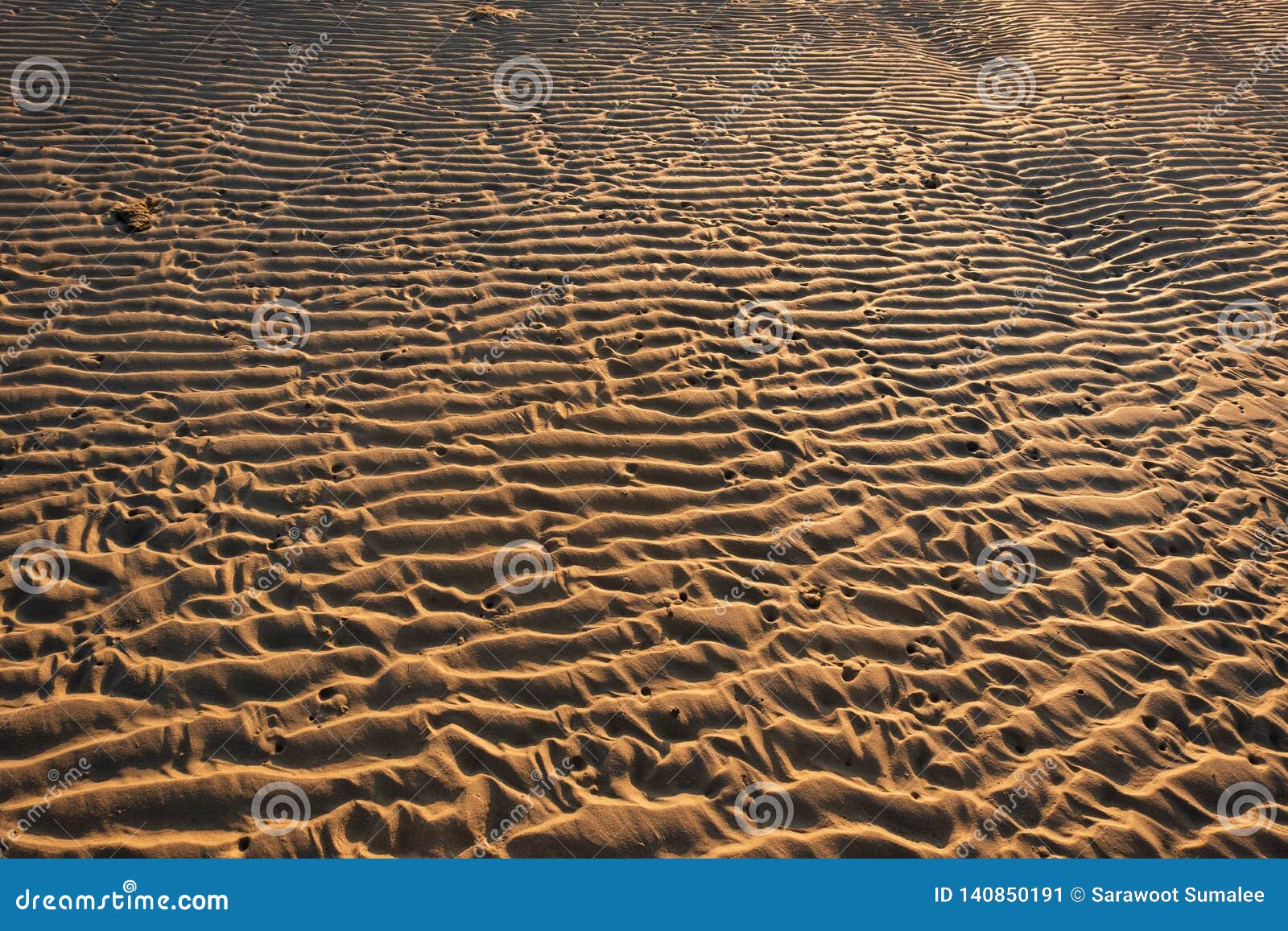 Afternoon Light Causes the Pattern and Shape of the Sand Wave after Low ...