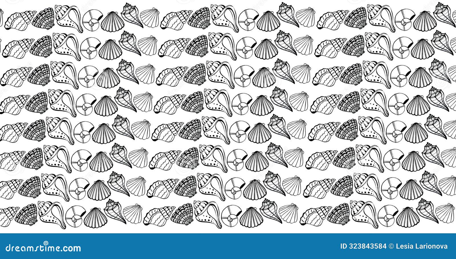 A Set Of Shells Of Different Shapes And Colors On A White Background ...