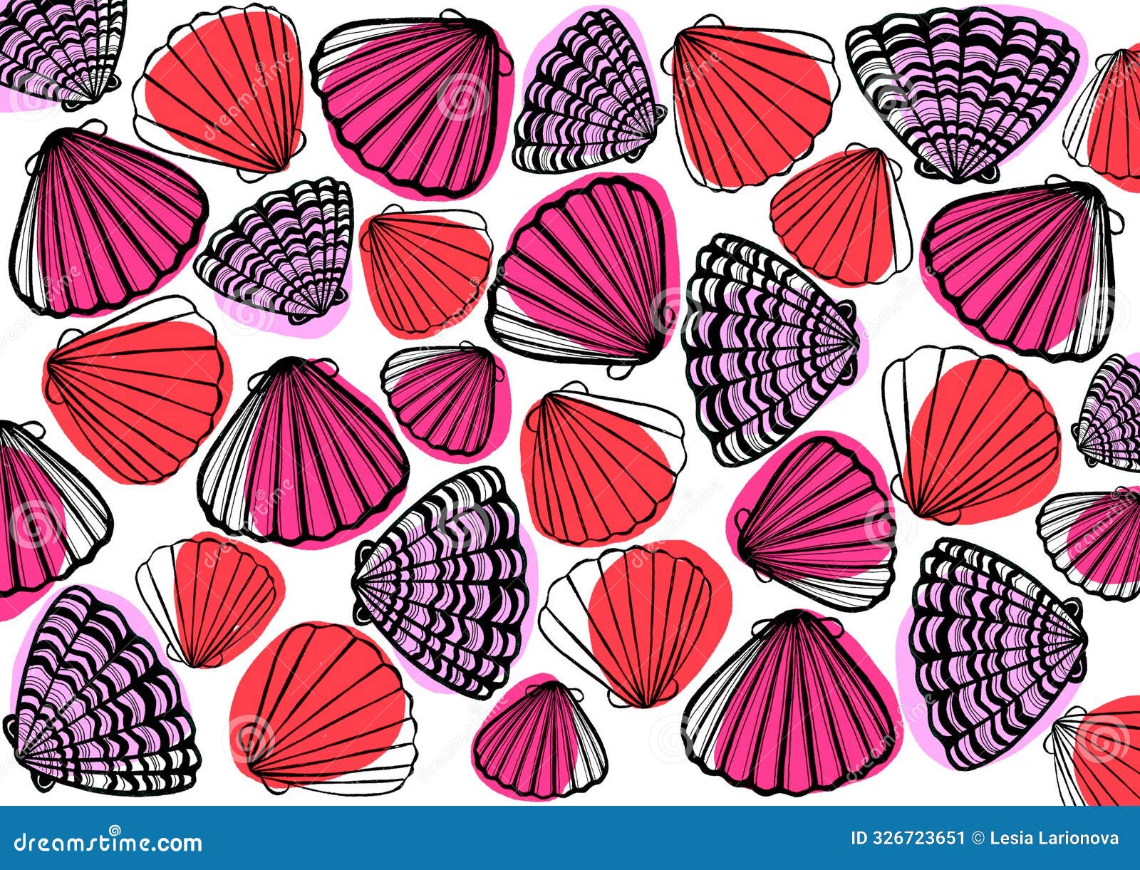 Pattern with Shells on a White Background. Drawing with a Black Outline ...