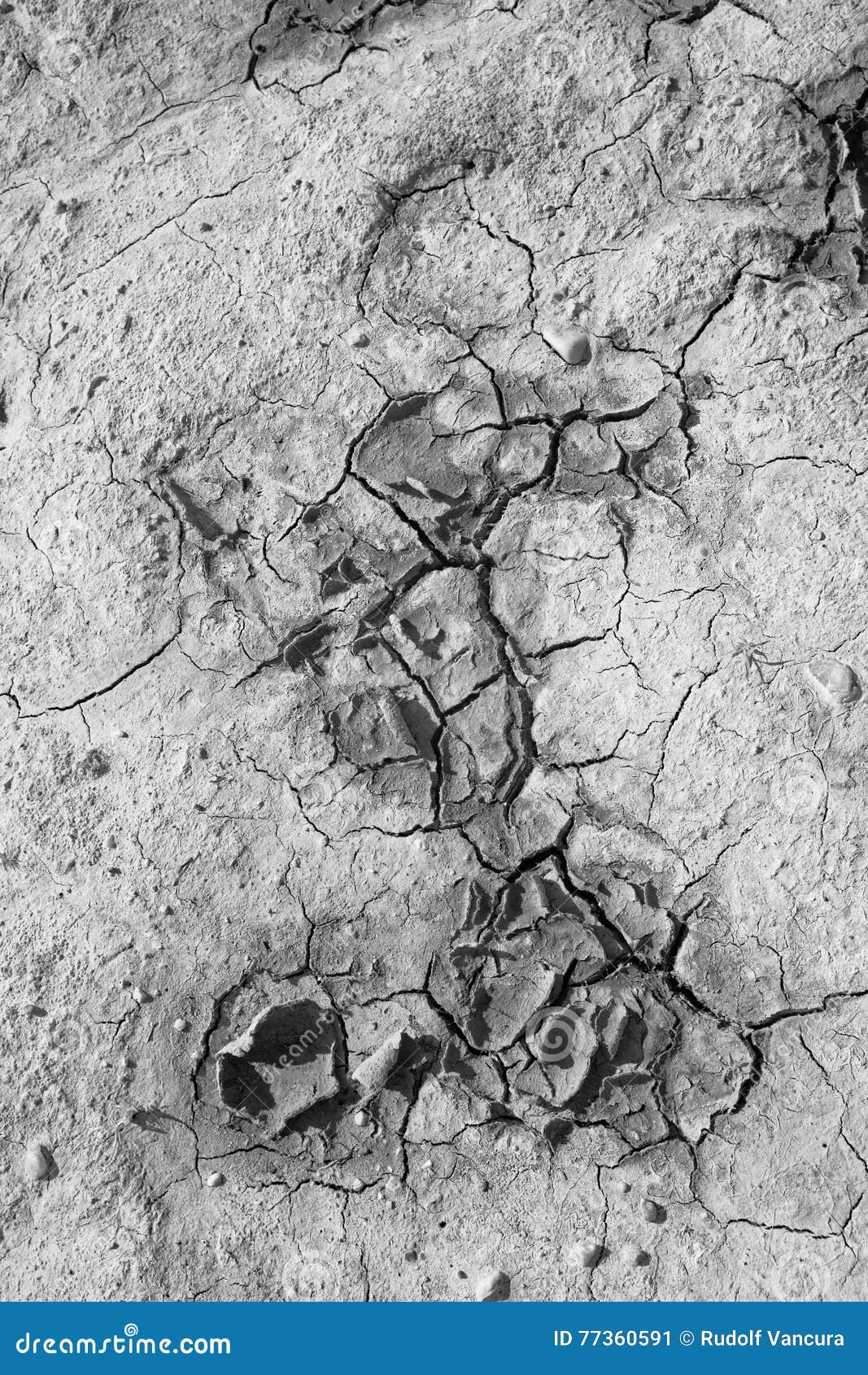 Pattern of Silt in Shallow Waters Stock Image - Image of background ...