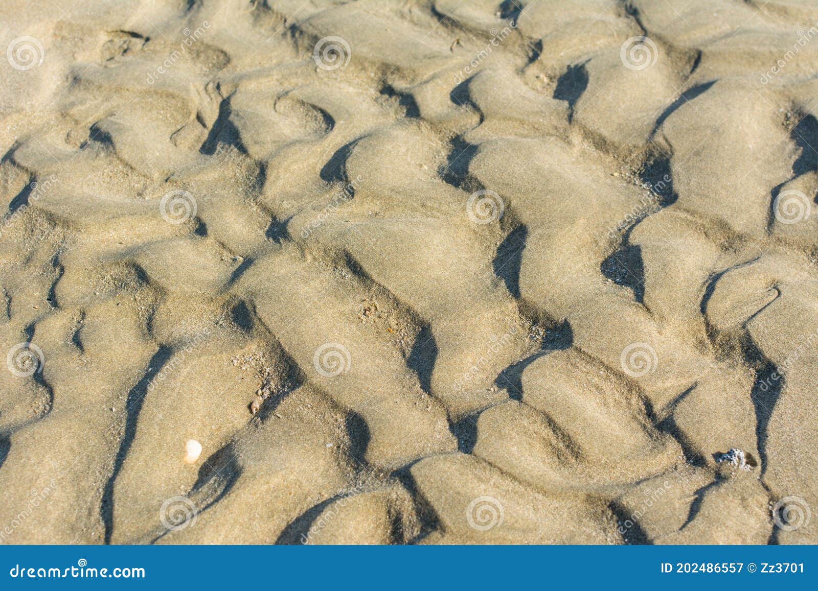 Pattern of Small Dunes at the Beach after Tide Ebbing in Corniche Park ...