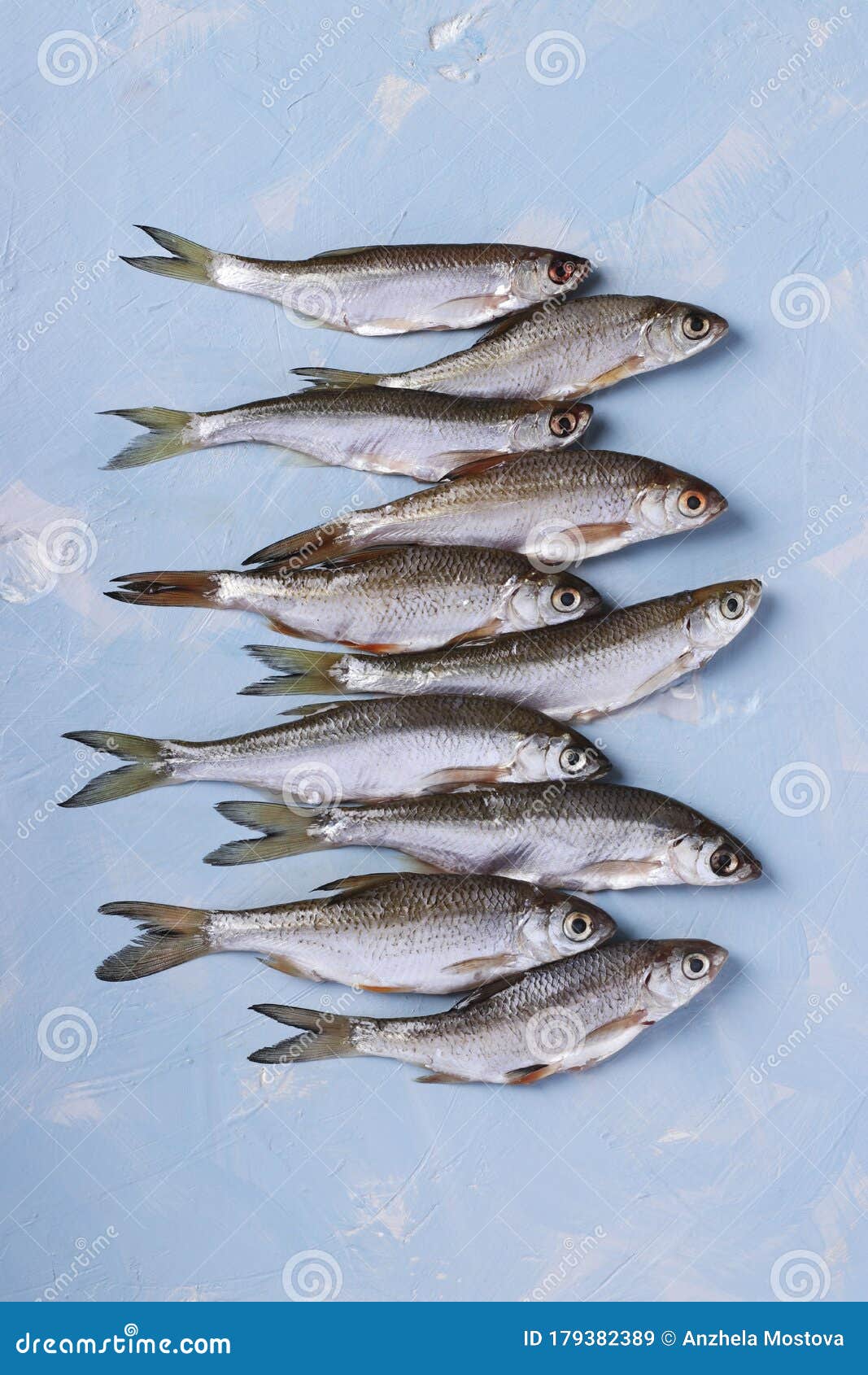Pattern of Small Fish on a Blue Background, Top View, Vertical ...