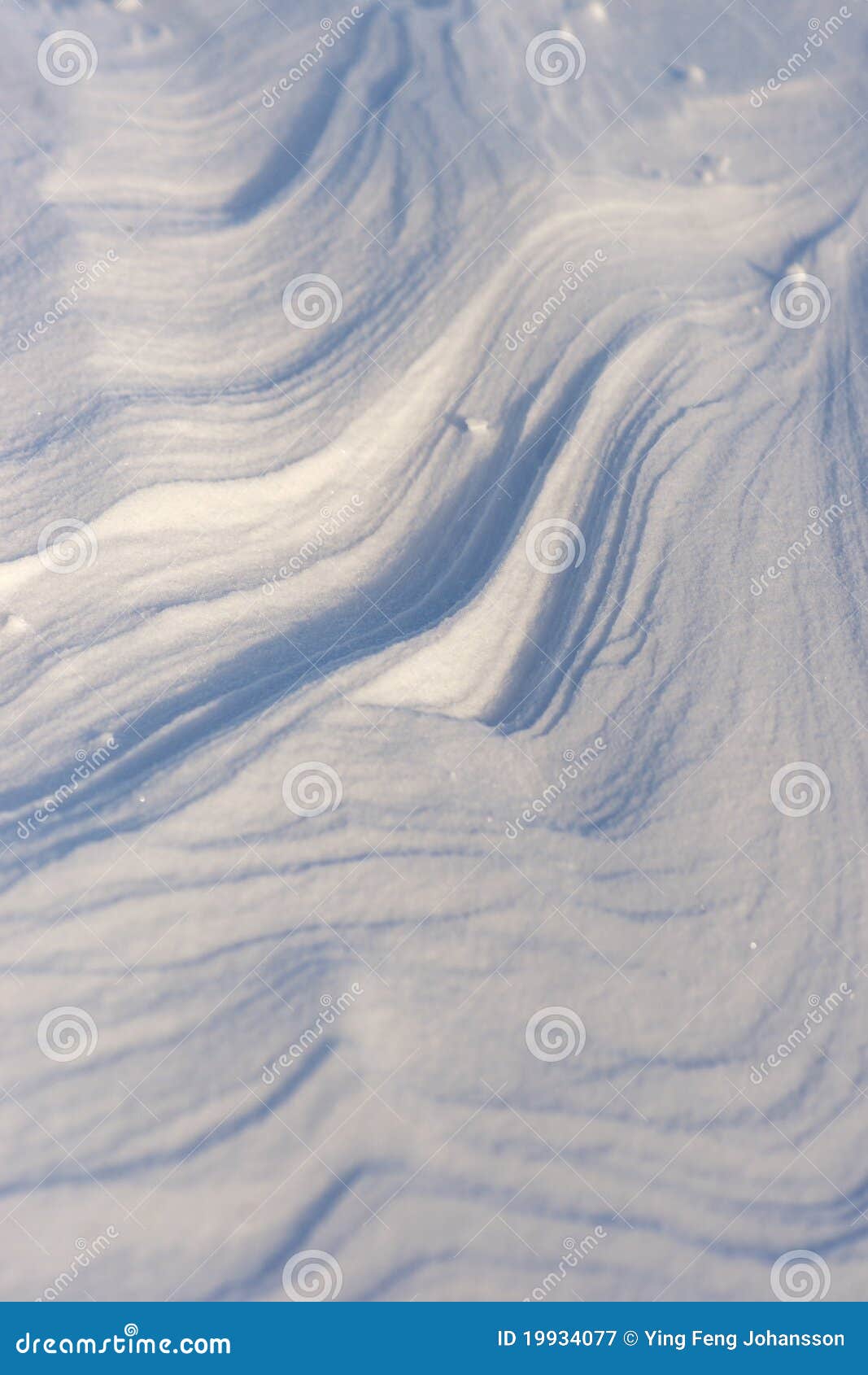 Pattern in snow stock image. Image of nature, texture - 19934077