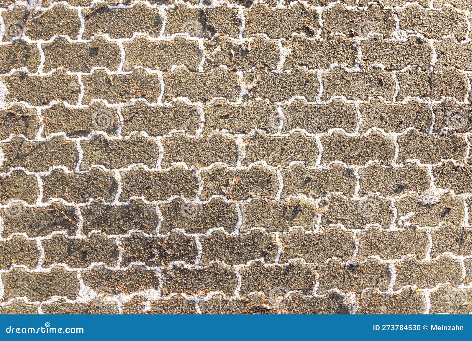 Pattern of Snow between Outdoor Floor Tiles Stock Photo - Image of ...