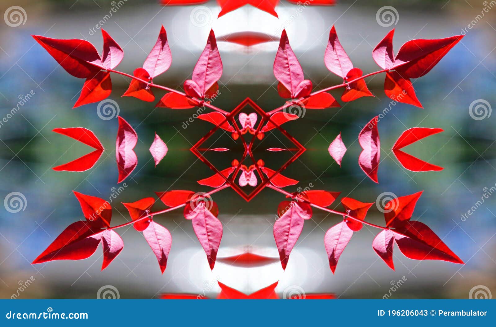 PATTERN with SPRIG of RED HOLY BAMBOO LEAVES. Stock Image - Image of ...