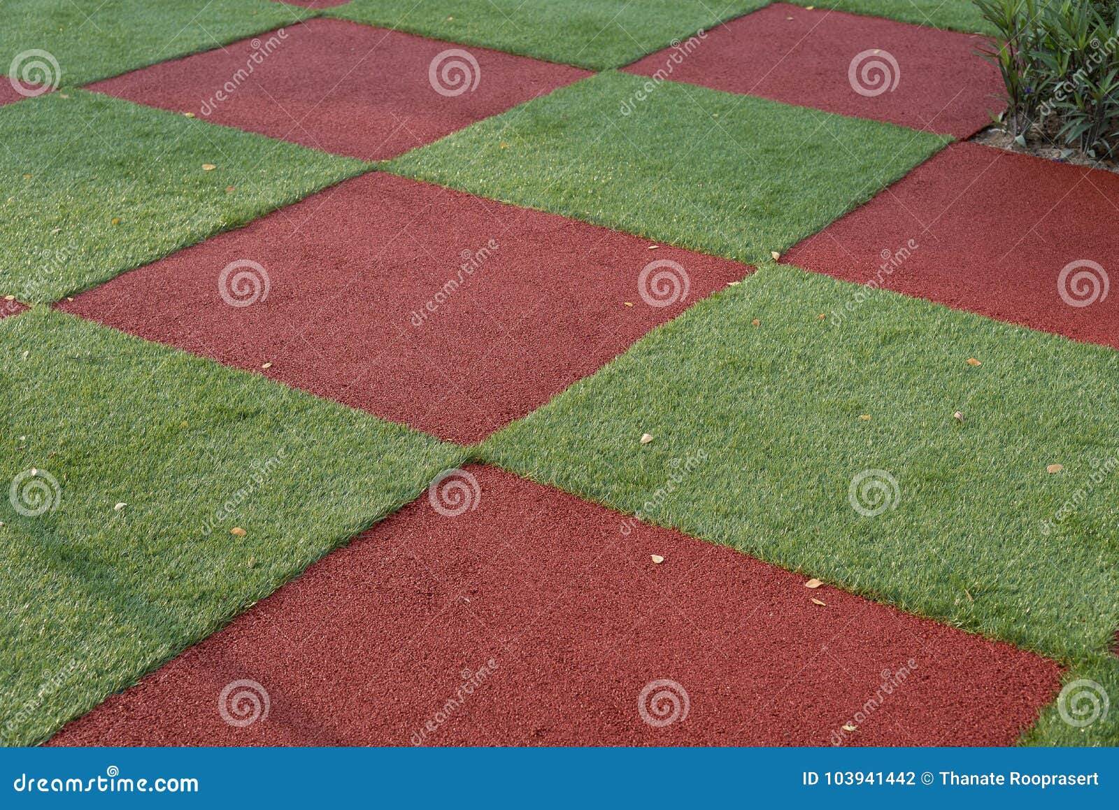 Pattern of Square Green Grass in the Park. Stock Photo - Image of ...