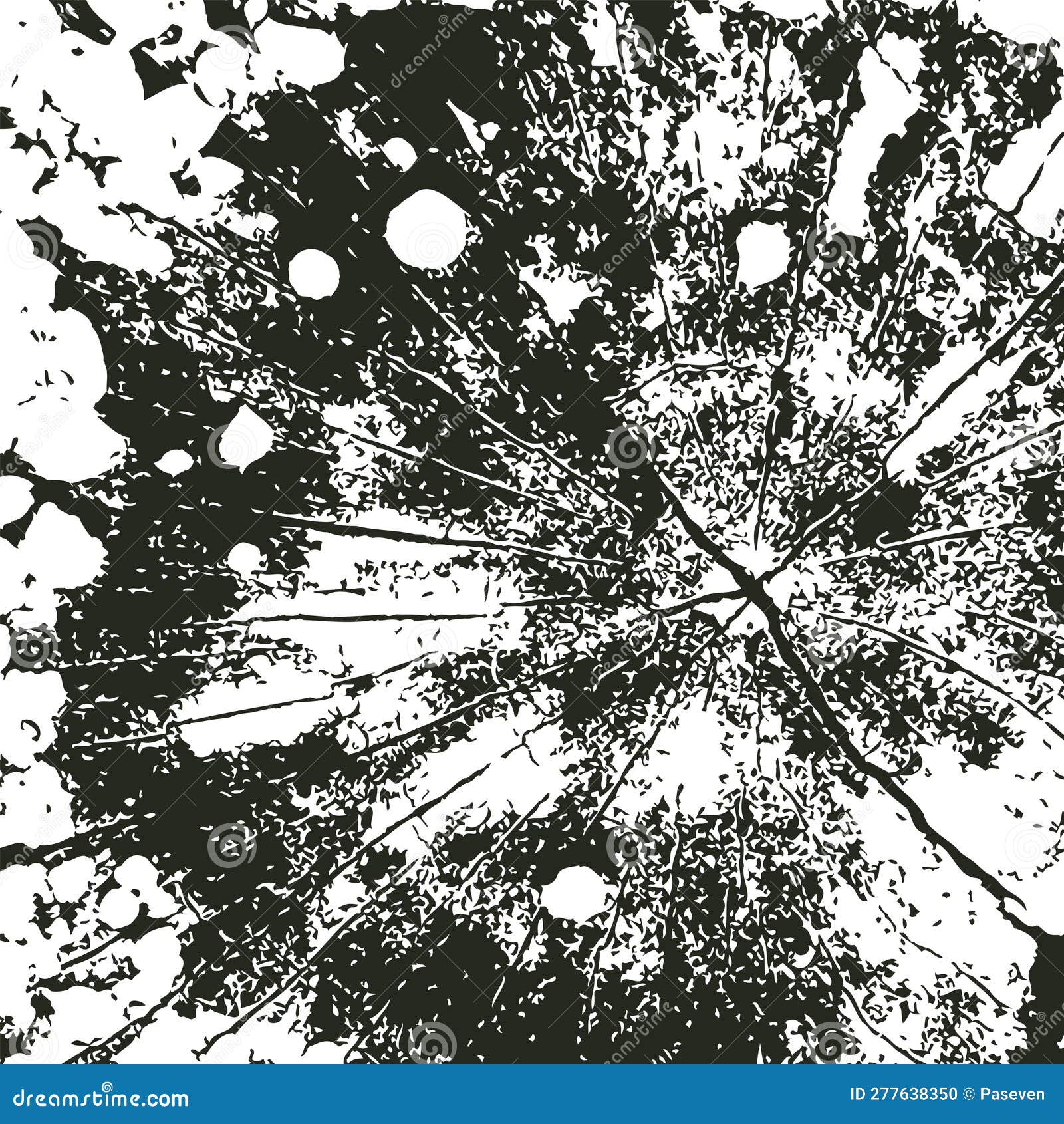 Cross Sections Of Leaf Of Agave Attenuata Vintage Illustration Cartoon ...