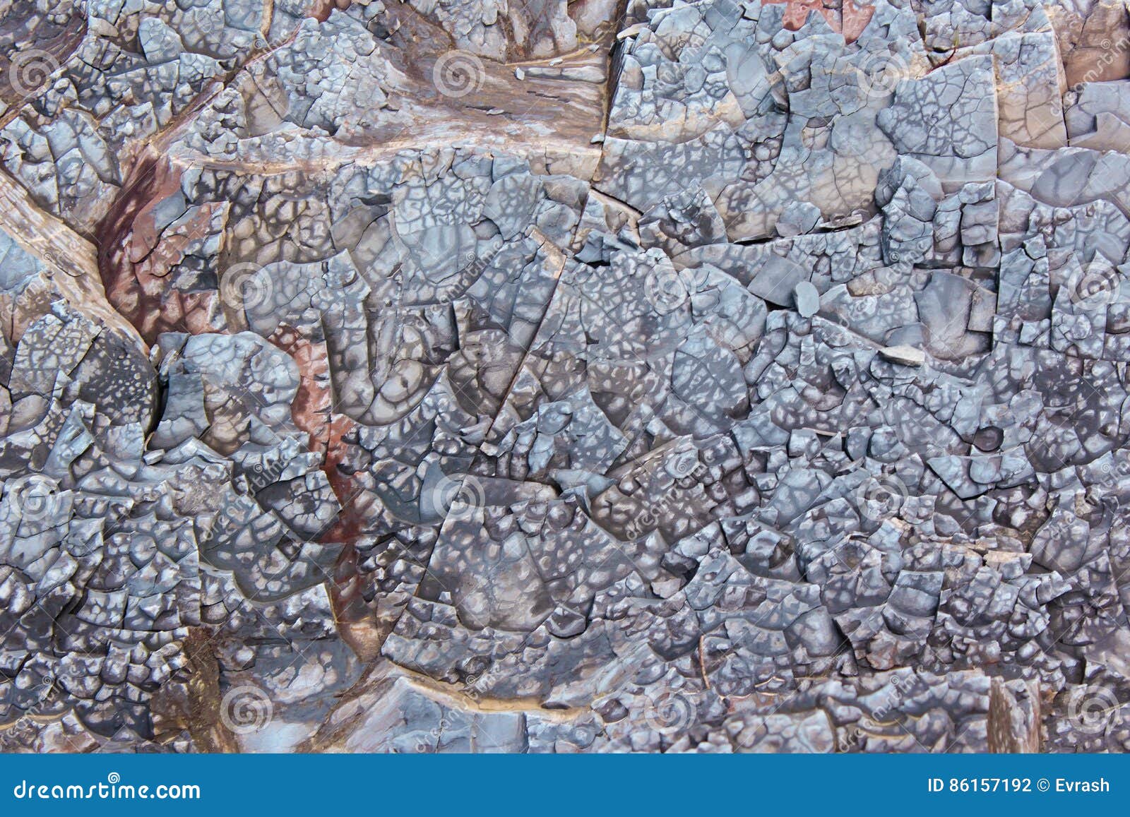 The pattern on the stone stock photo. Image of background - 86157192