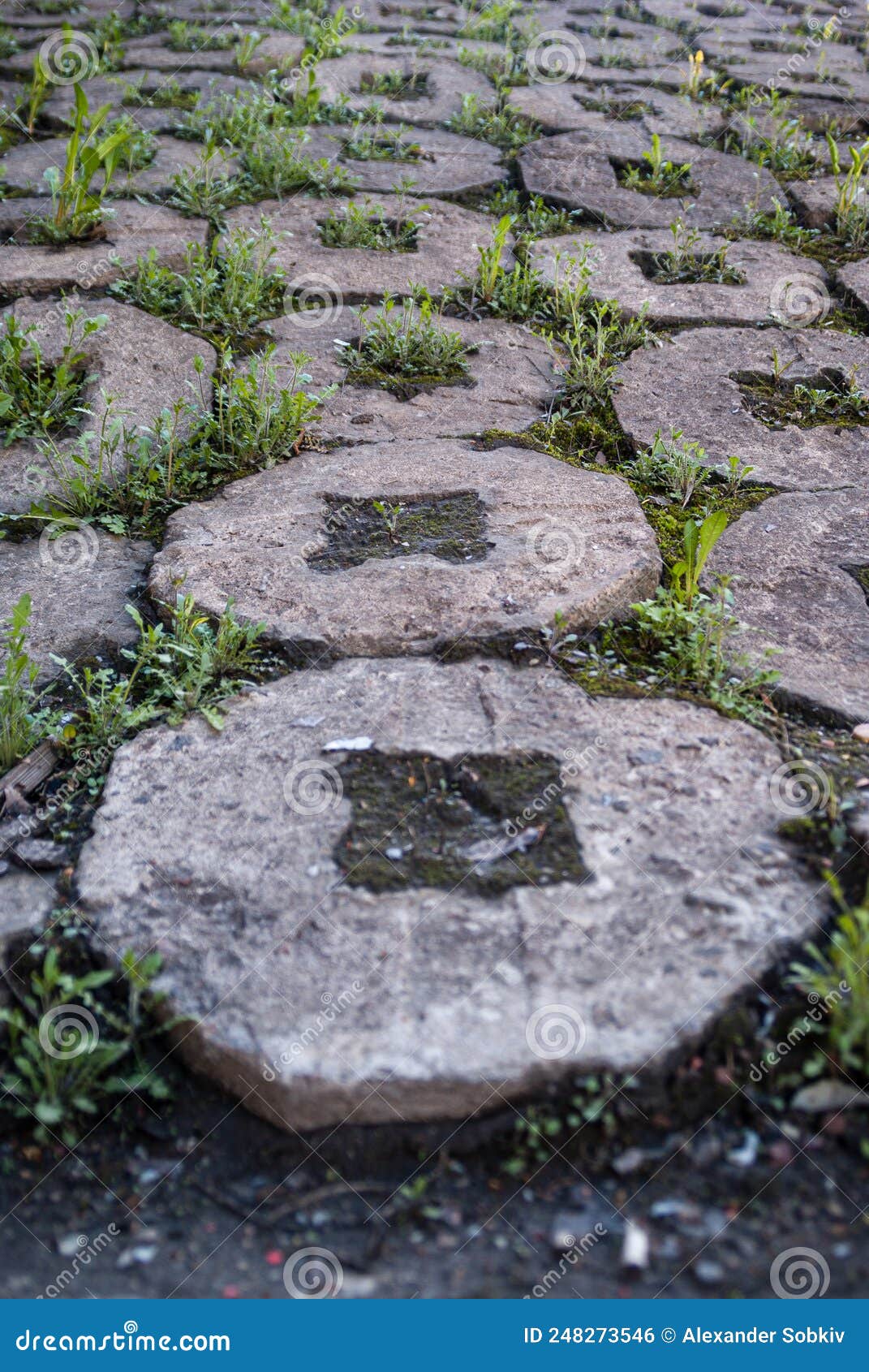 Pattern from Street Slabs on the Ground Stock Photo - Image of backyard ...