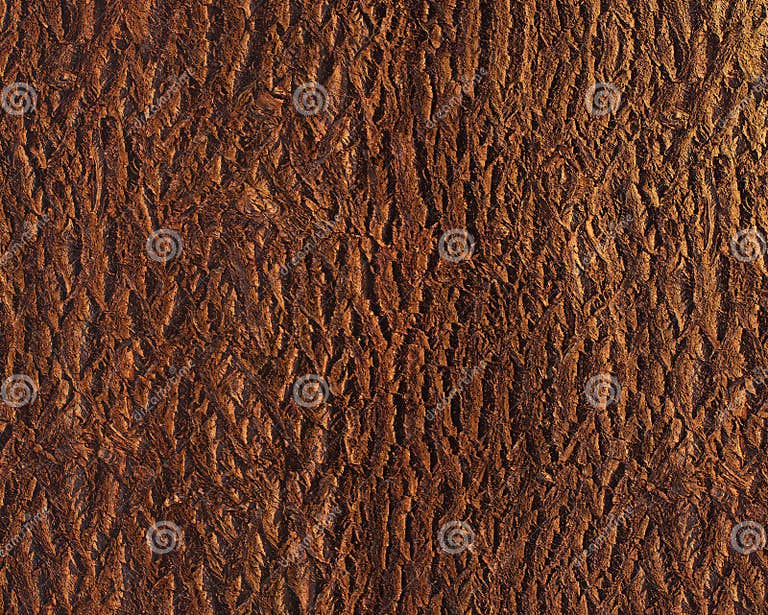 Pattern and Structure of Willow Bark. Stock Photo - Image of gray ...