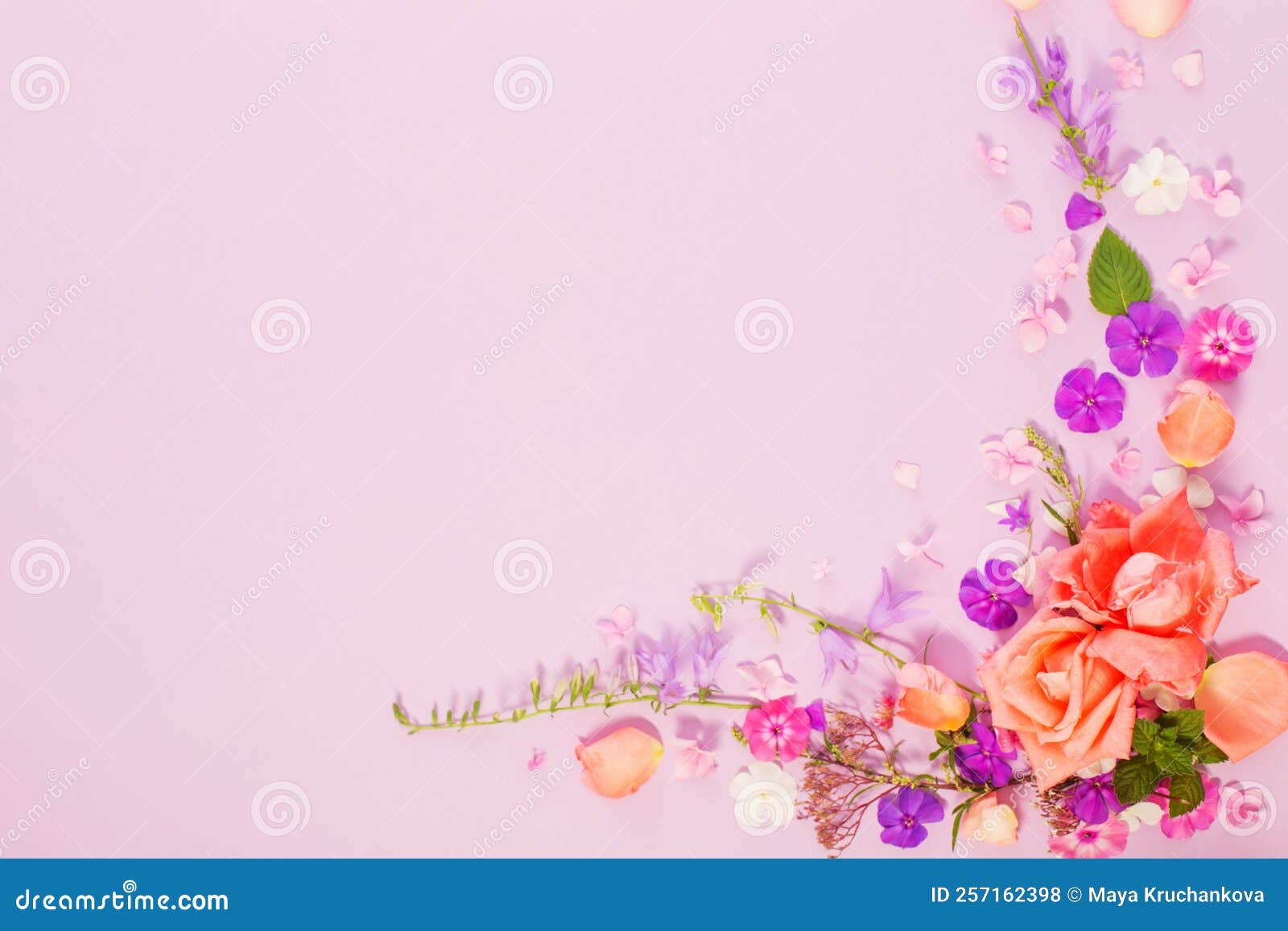 Pattern of Flowers on Color Paper Background Stock Photo - Image of ...