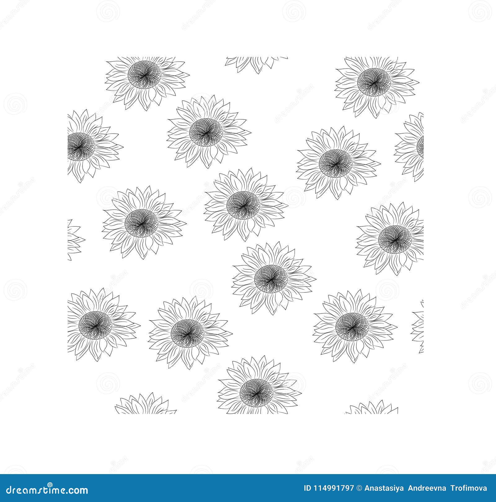 Pattern sunflower flowers stock vector. Illustration of white - 114991797