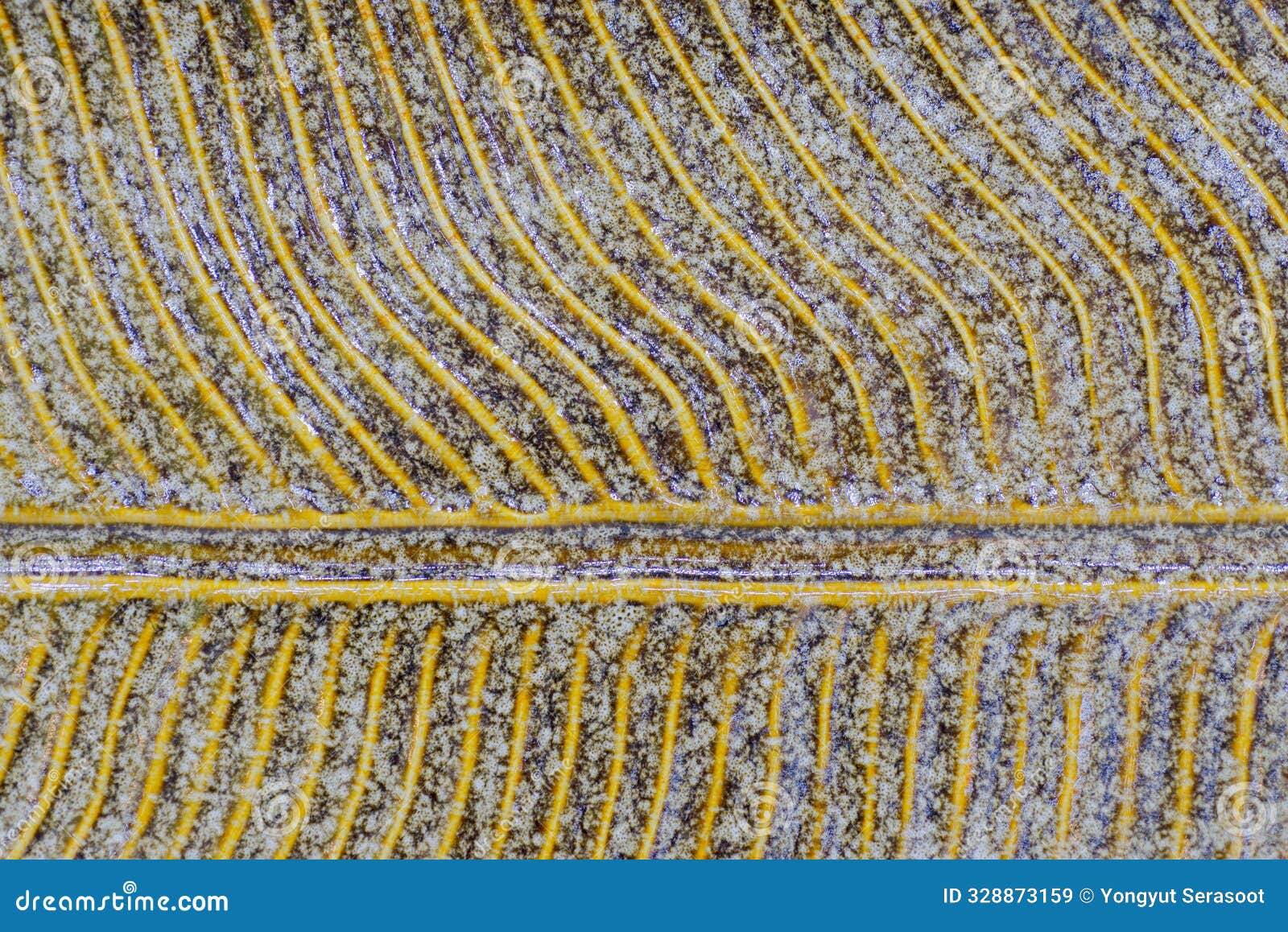 The Pattern on the Surface of Ceramic Pottery is Bright and Colorful ...