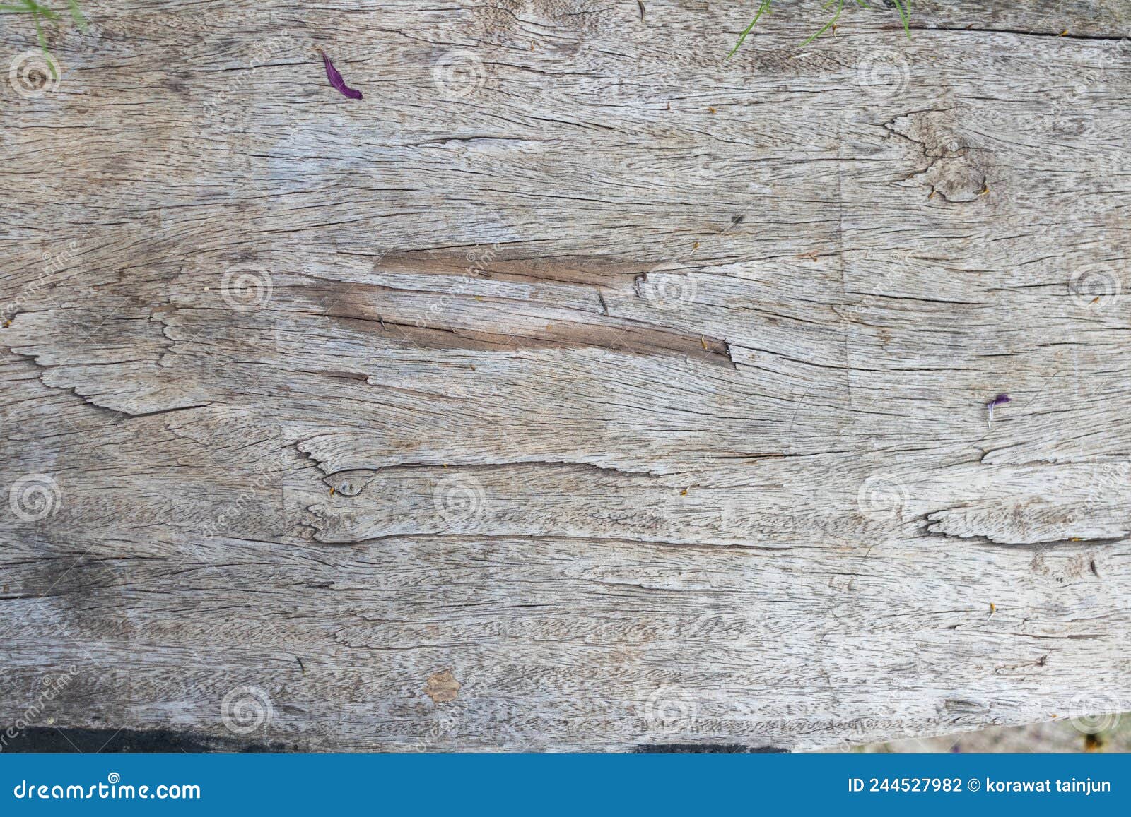 The Pattern on the Surface of the Full Frame Planks in Top View. the ...