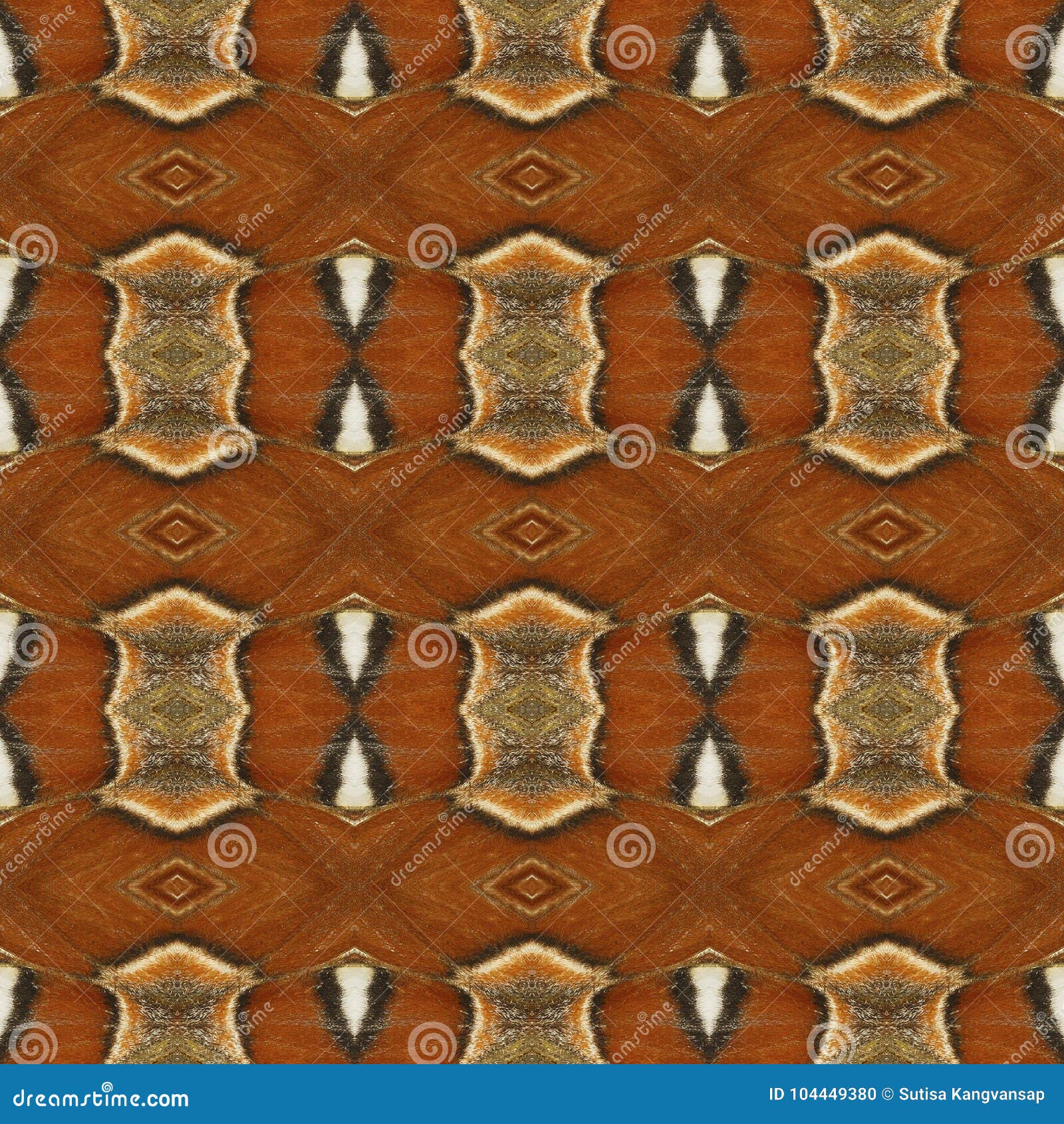 Pattern Texture of Atlas Silk Butterfly Wing for Background Stock Photo ...