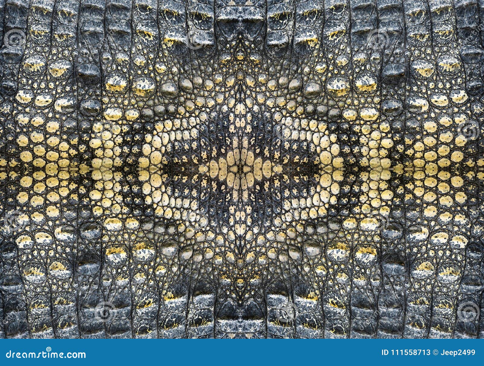 Pattern and Texture of Crocodile. Stock Image - Image of stone, floor ...