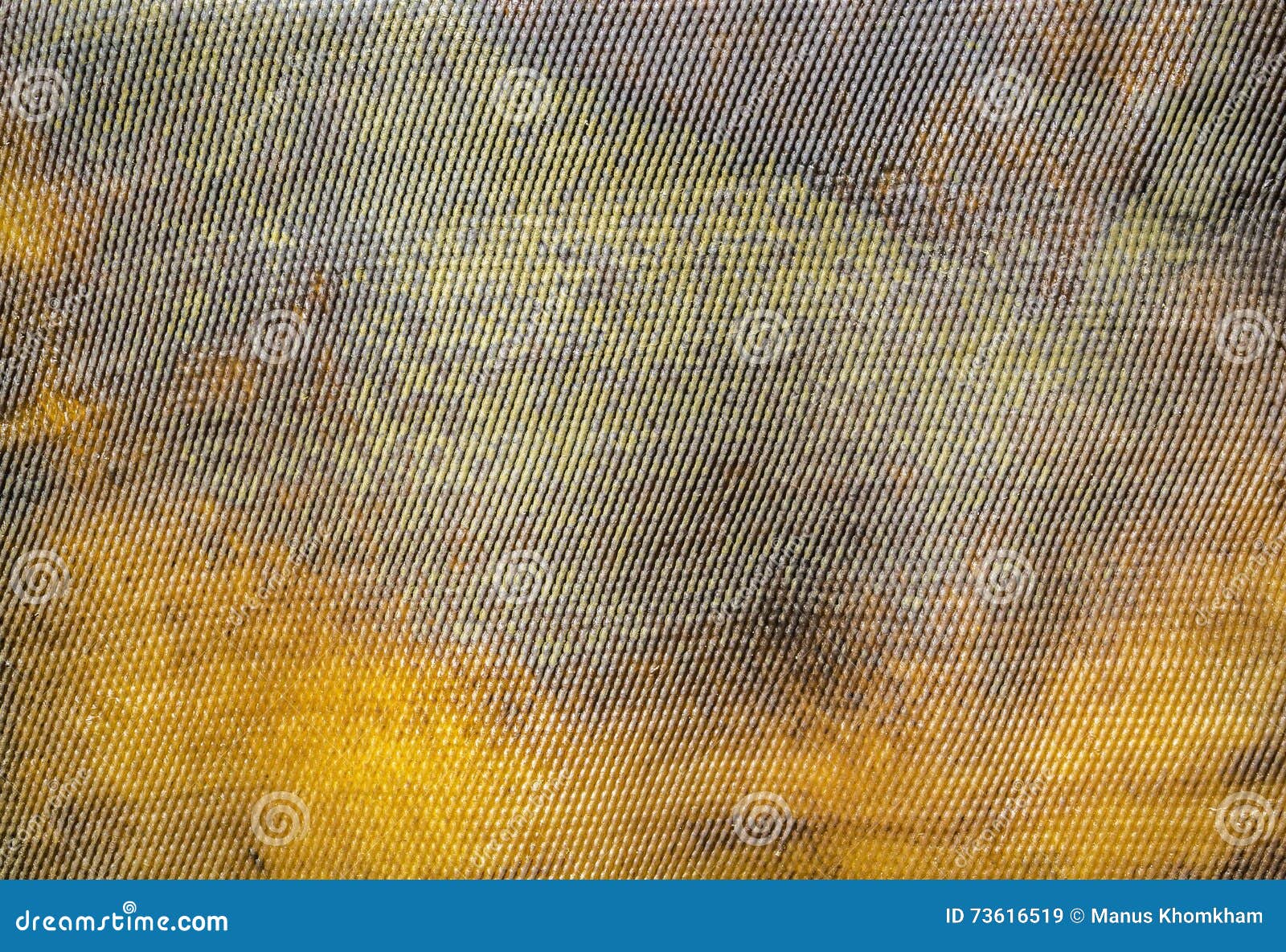 Pattern and Texture of Dry Rubber Sheet Stock Image - Image of grunge ...