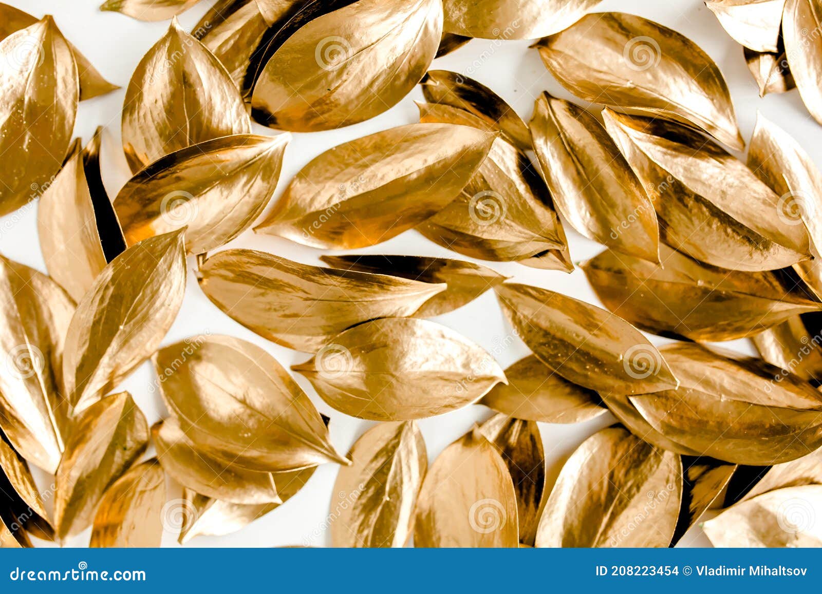 Pattern, Texture with Gold Leaves Isolated on White Background. Flat ...