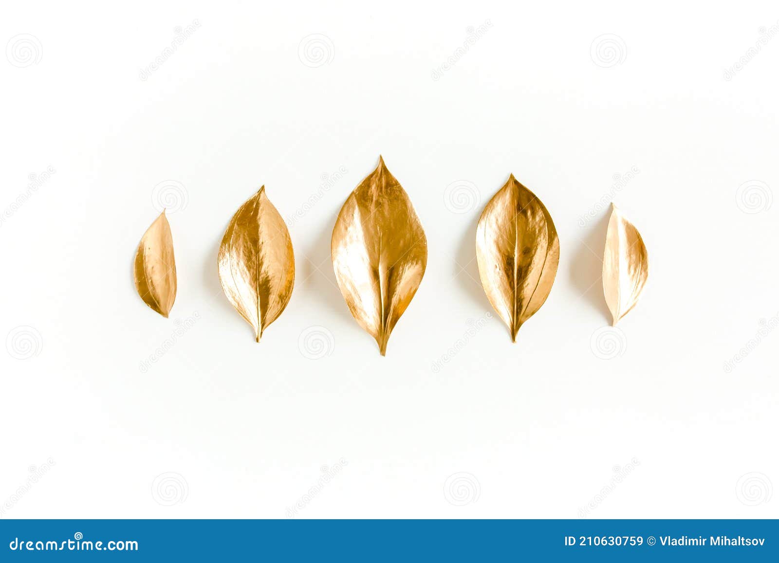 Pattern, Texture with Gold Leaves Isolated on White Background. Flat ...