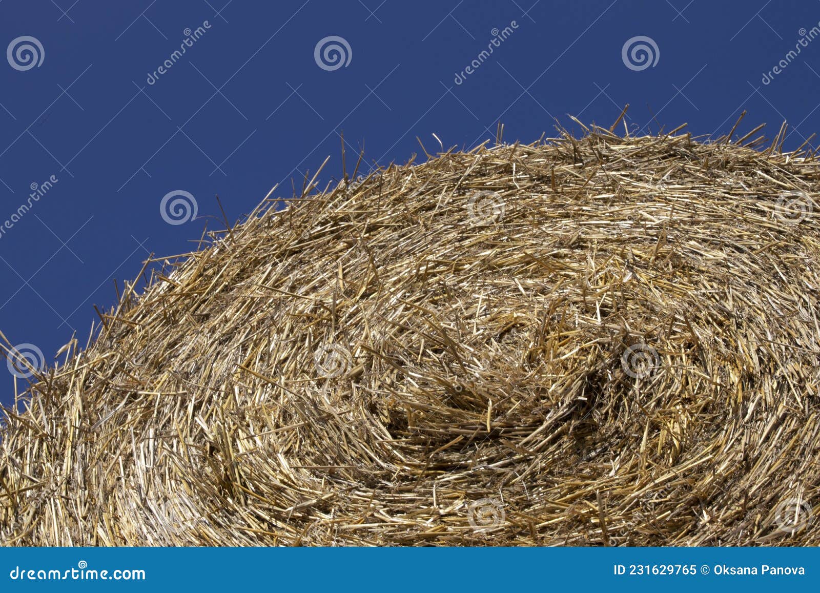 The Pattern, Texture Hay. a Stack of Hay Stock Image - Image of gold ...