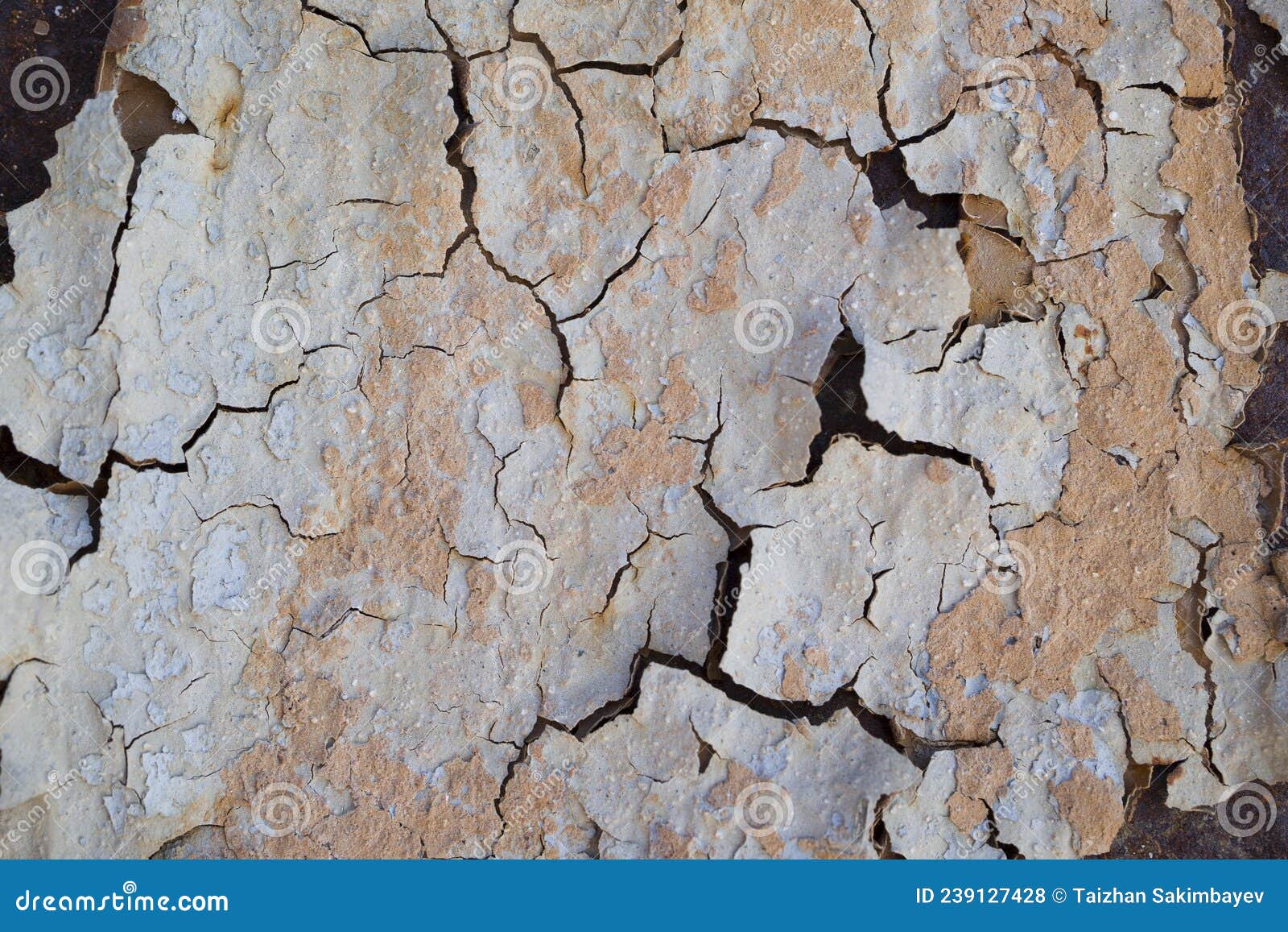 Pattern and Texture of Old Dried Paint Stock Photo - Image of damaged ...
