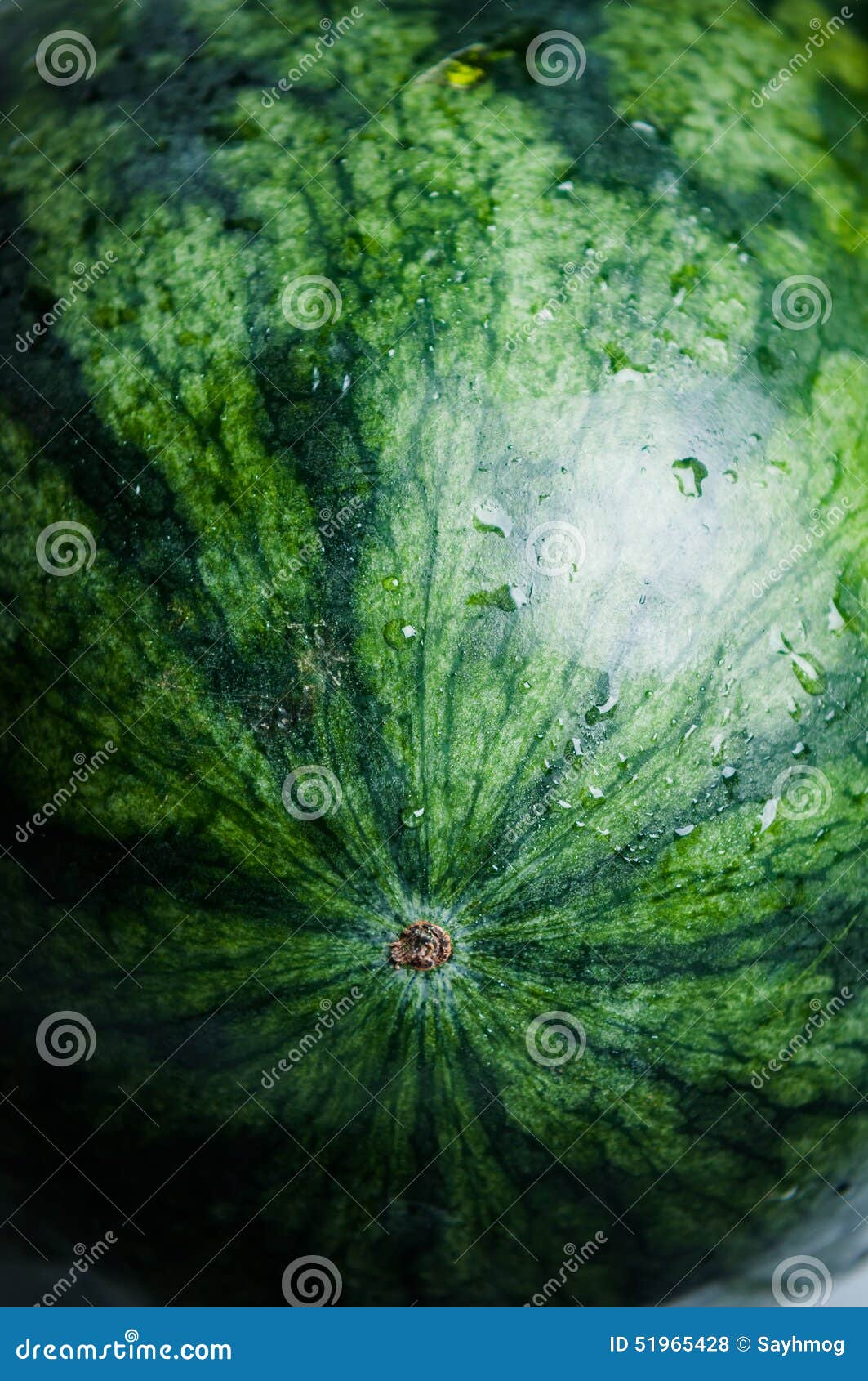 Pattern of Texture Watermelon Fruit Stock Photo - Image of background ...