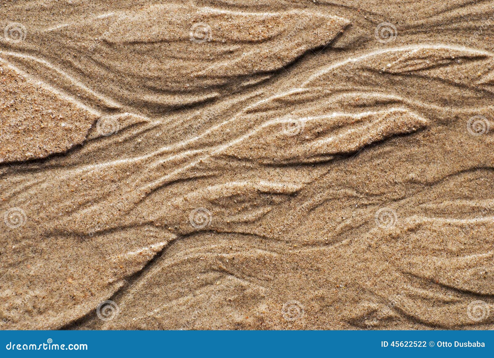 Tidal Sand Flats, Stream And Salt Marsh Of Nature Reserve Boschplaat On ...