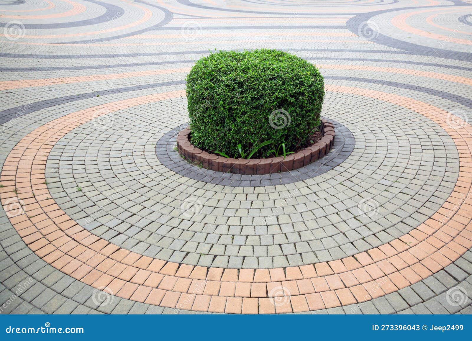 Pattern of the Tile Floor is Decorated with Tree. Stock Image - Image ...
