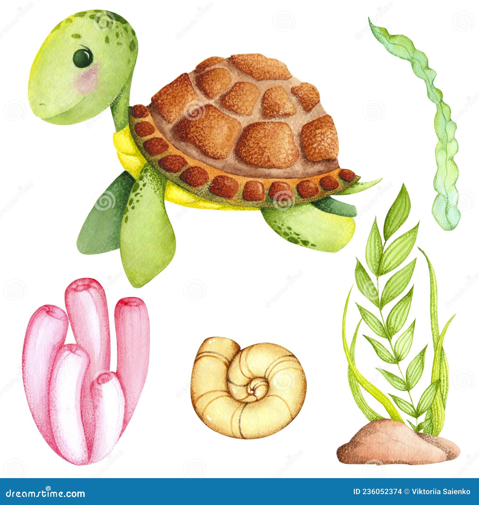 Turtle in the Sea,shell. Watercolor Illustration Stock Photo - Image of ...