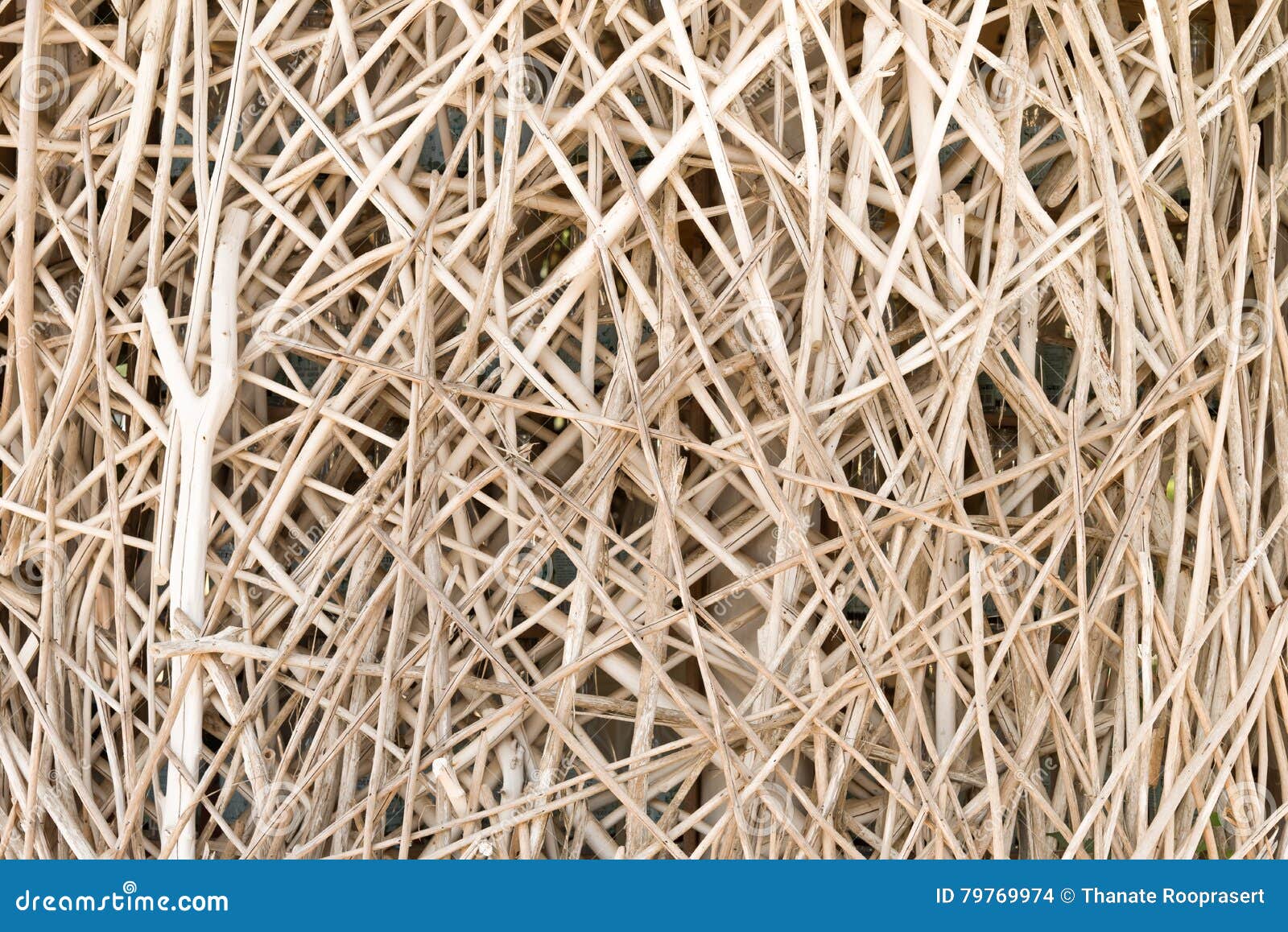 Pattern of the Twigs Wall Background. Stock Photo - Image of ...