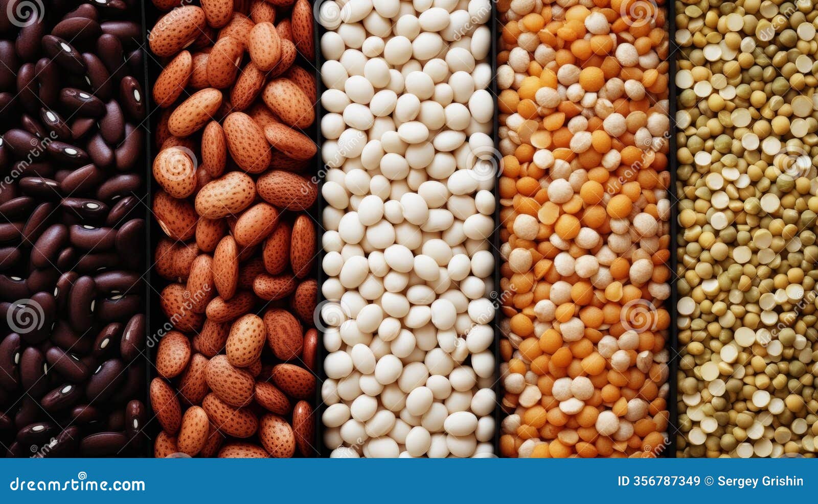 Pattern of Various Grains, Top View. Assorted Different Types of Beans ...
