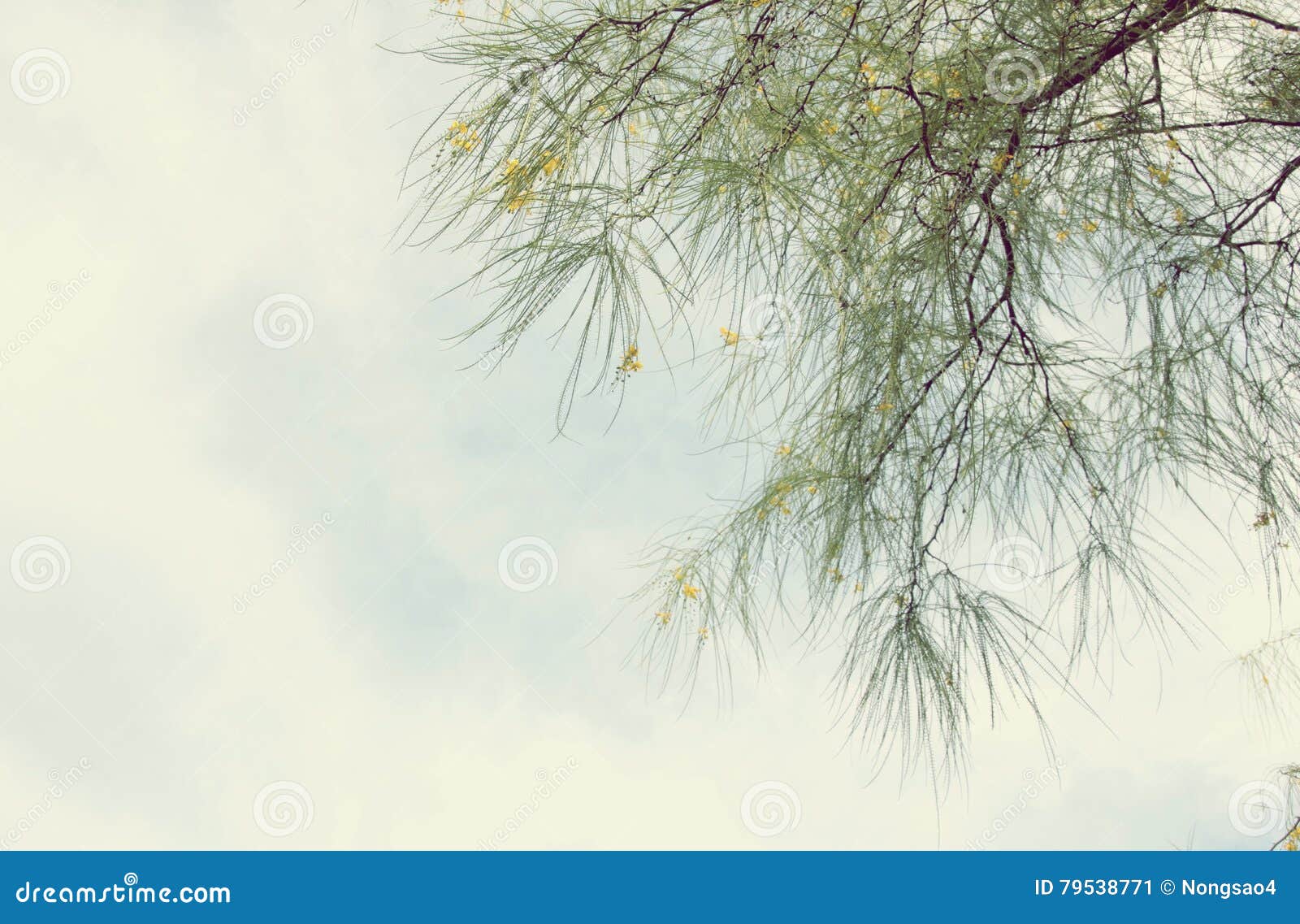 Pattern of Vintage Soft Branch Stock Image - Image of plant, autumn ...