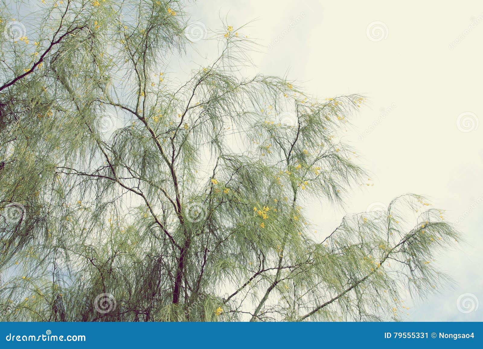 Pattern of Vintage Soft Branch Stock Image - Image of winter, autumn ...