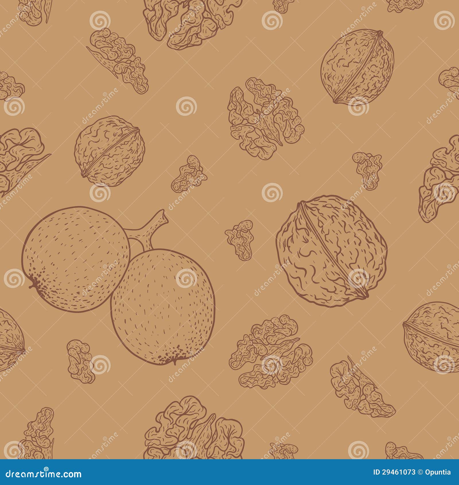 Pattern with walnut stock vector. Illustration of decorative - 29461073