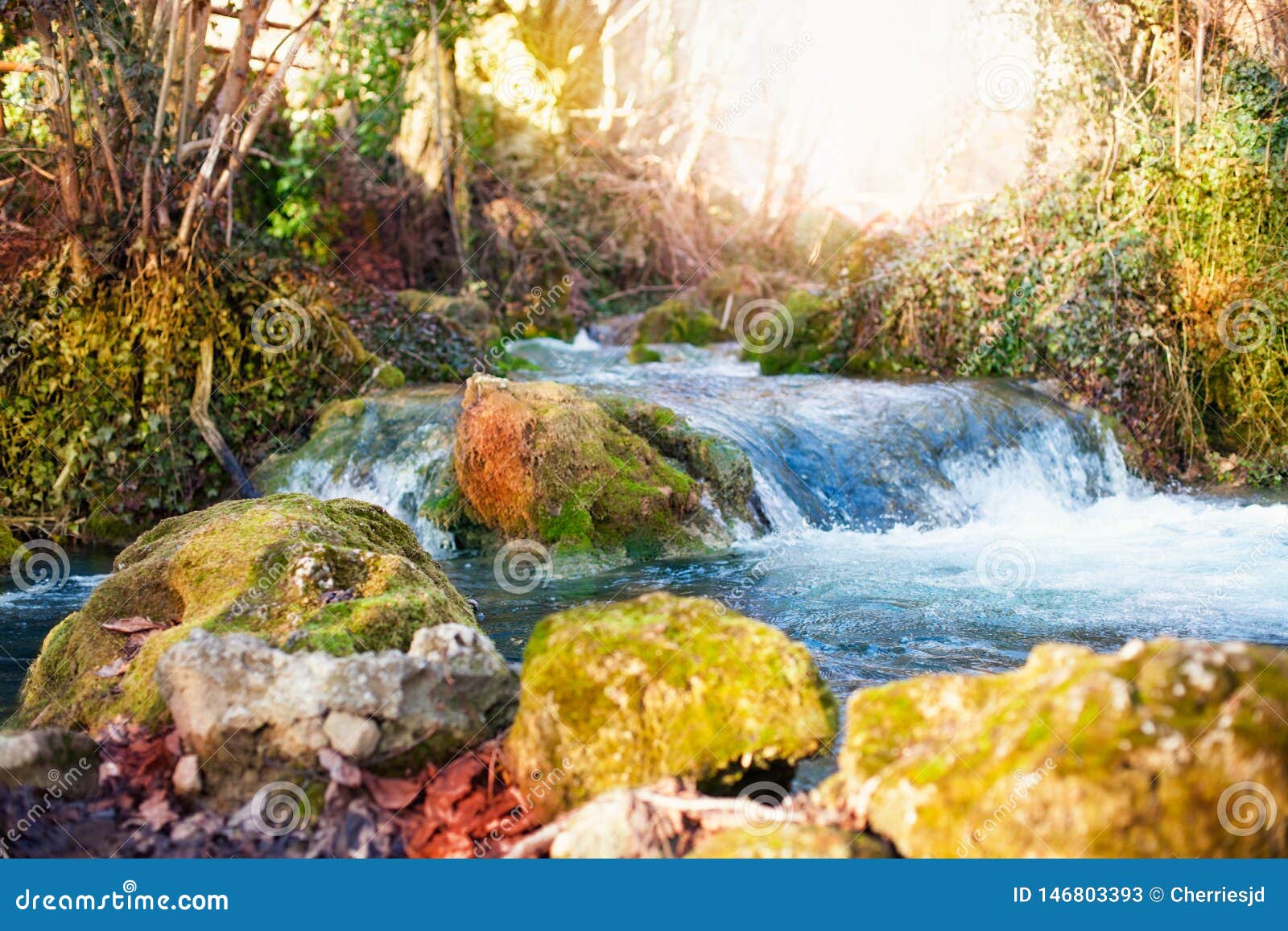 Pattern of Water Flow Landscape Stock Image - Image of paradise ...