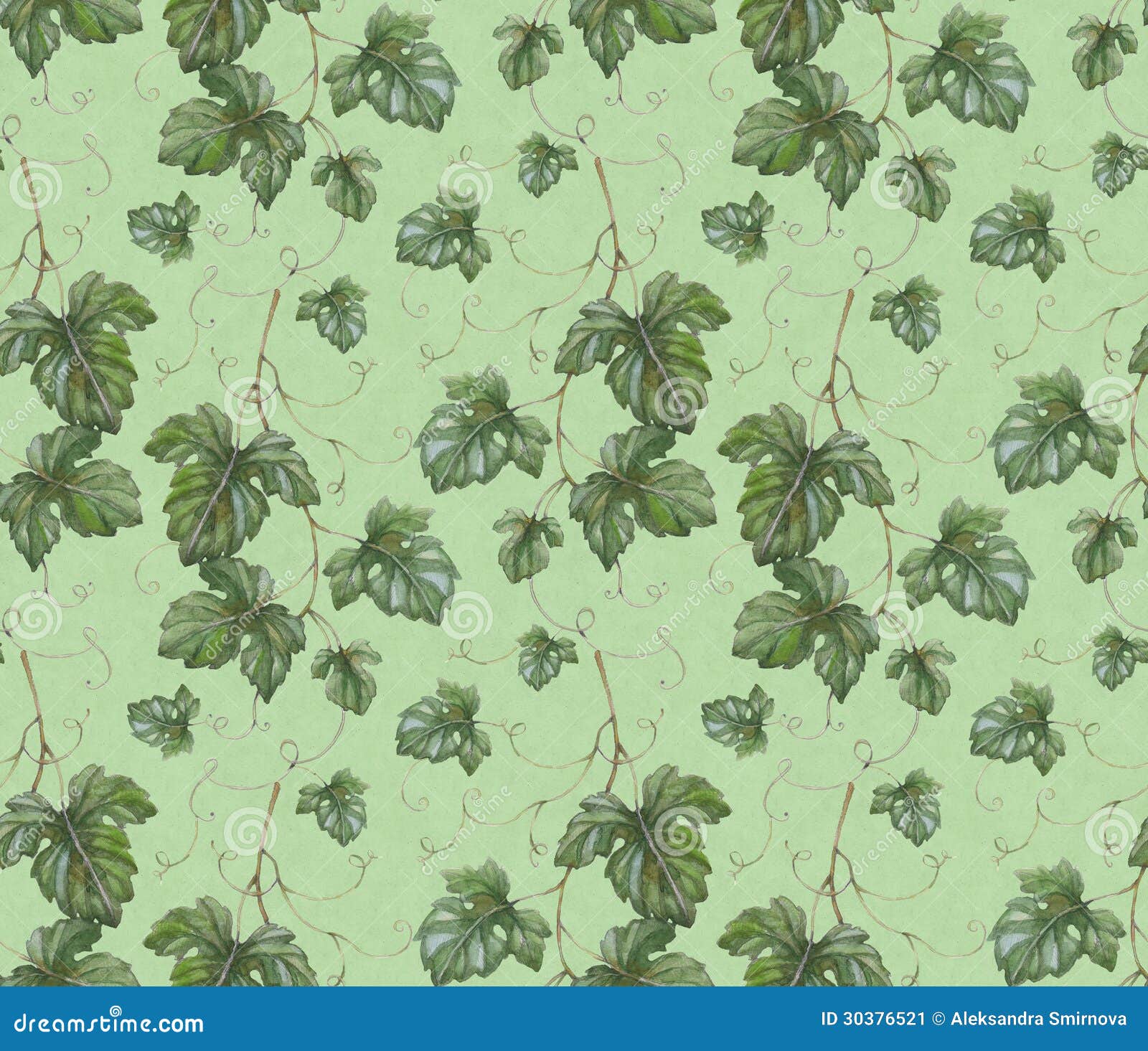 Pattern with Watercolor Grape Leaves Stock Illustration - Illustration ...