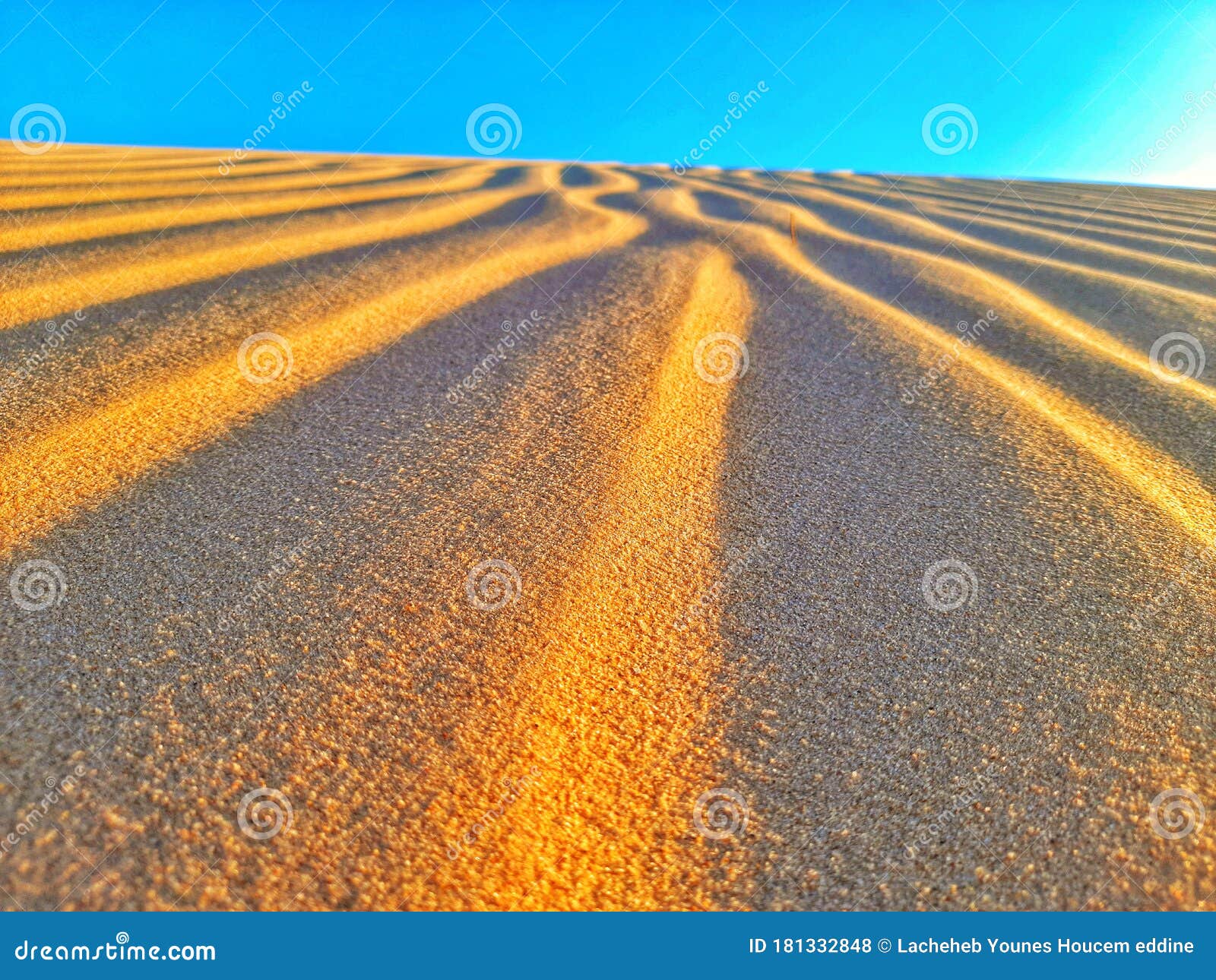 Pattern Waves in Sahara Desert of Algeria Stock Photo - Image of ...