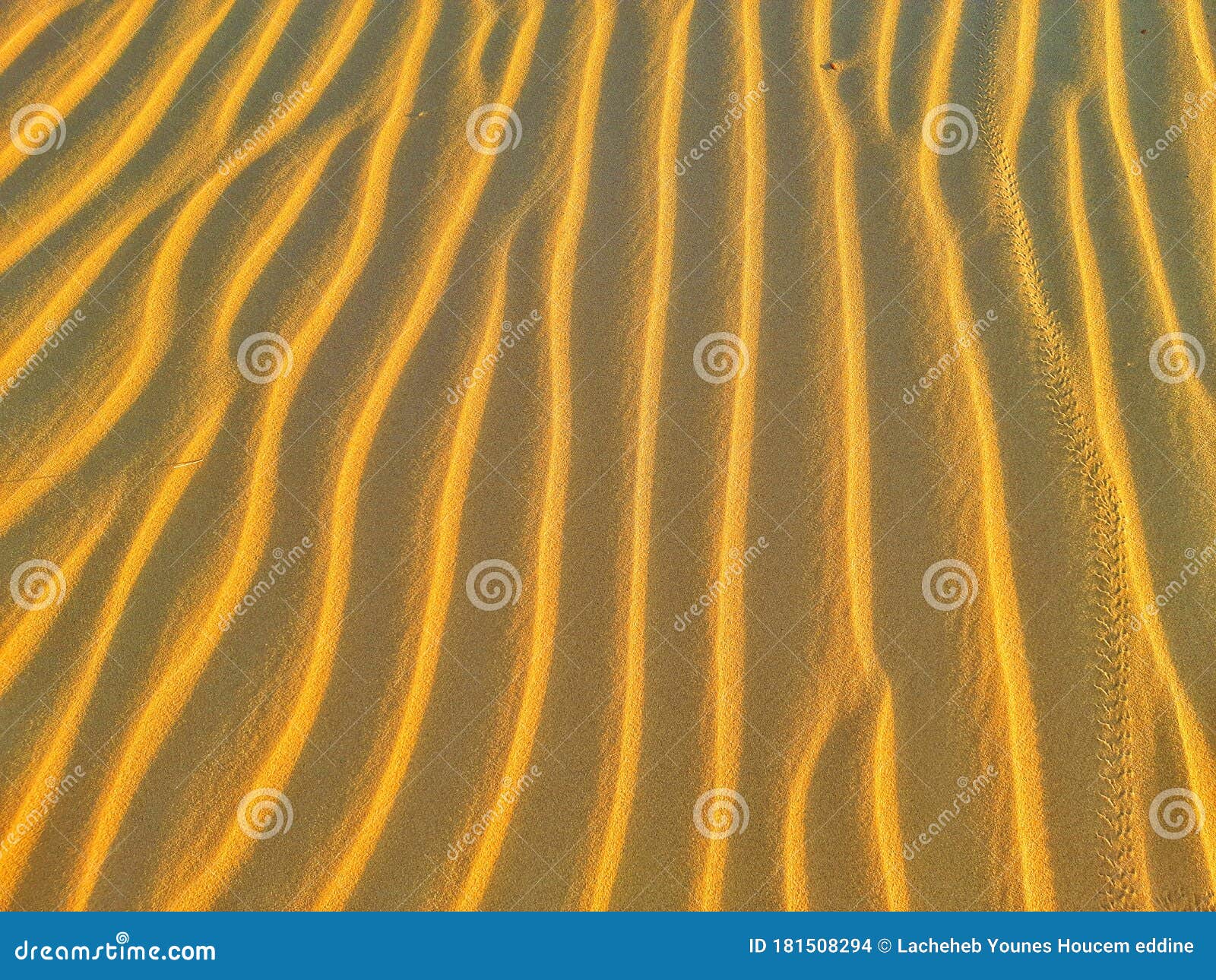 Pattern Waves in Sahara Desert of Algeria Stock Photo - Image of yellow ...