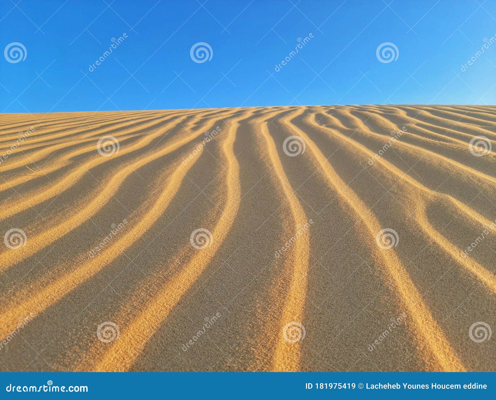 Pattern Waves in Sand Dunes on Desert of Algeria Stock Image - Image of ...