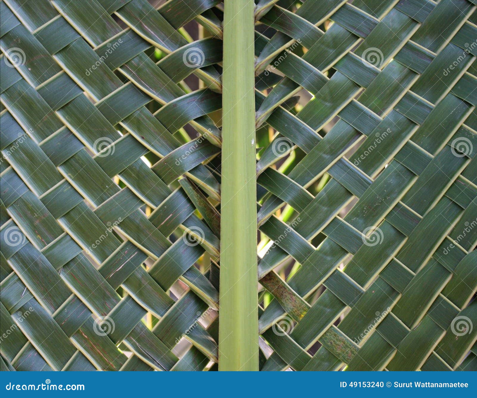 Pattern Weaving of Coconut Leaves Stock Photo - Image of beach, braided ...